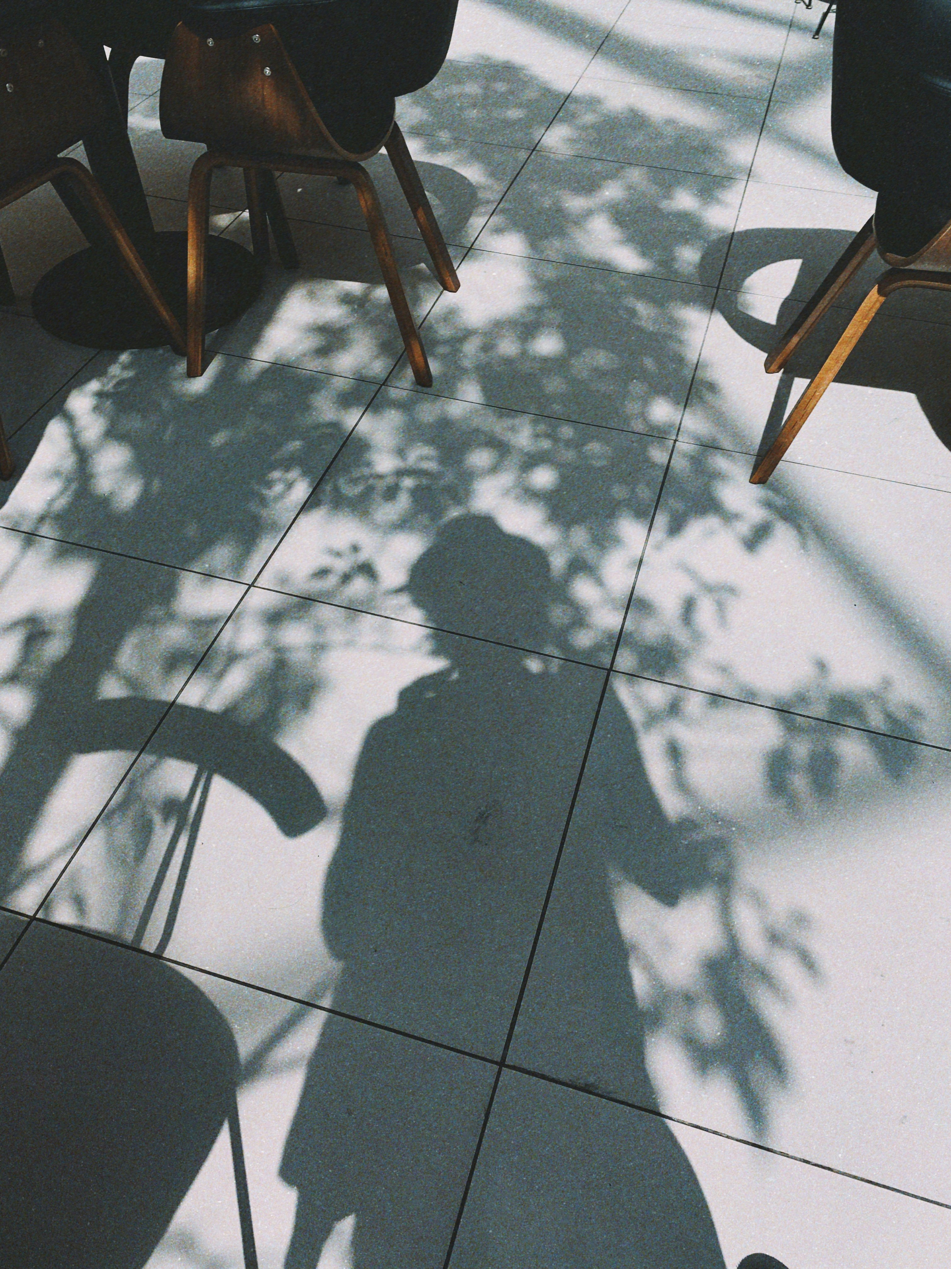 Soft shadows of foliage and a figure create a delicate interplay on tiled flooring, evoking a serene atmosphere.