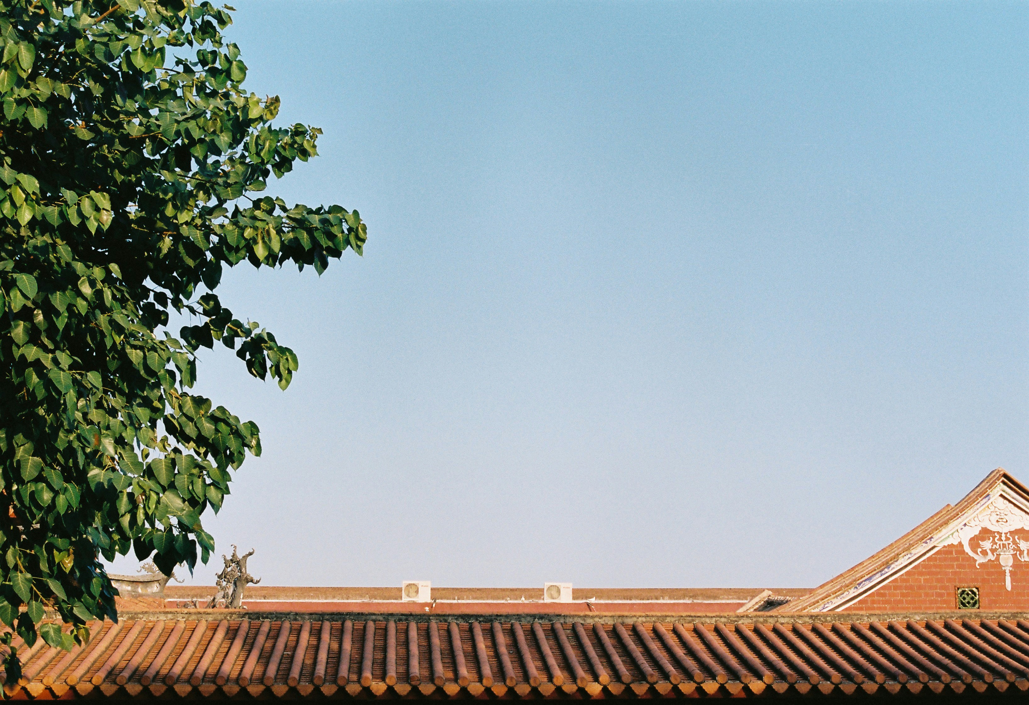 Terracotta Ridge Framed by Verdant Canopy Under a Clear Sky