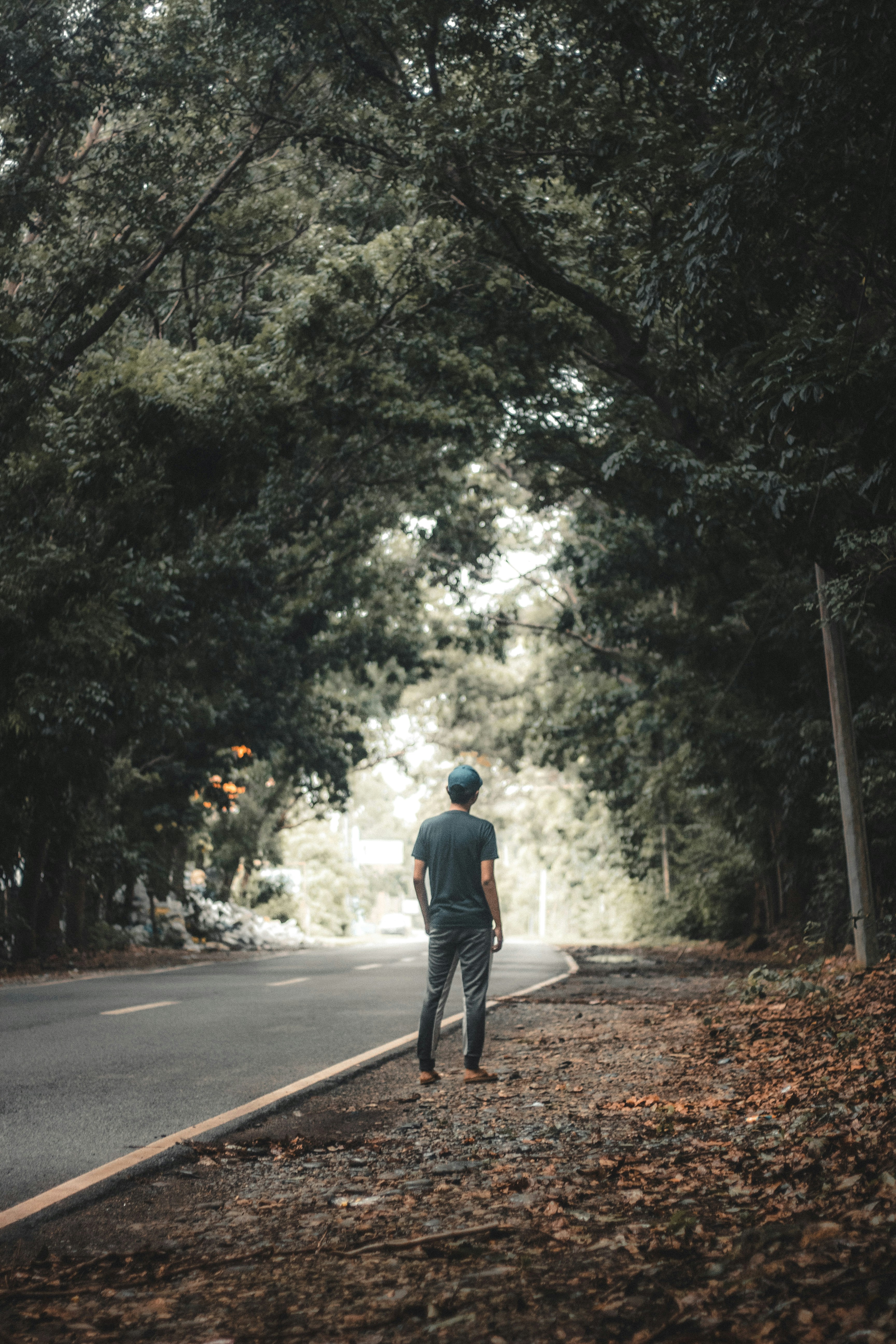 A person stands at the edge of a winding road, framed by lush trees creating a natural tunnel effect. The scene evokes a sense of contemplation.