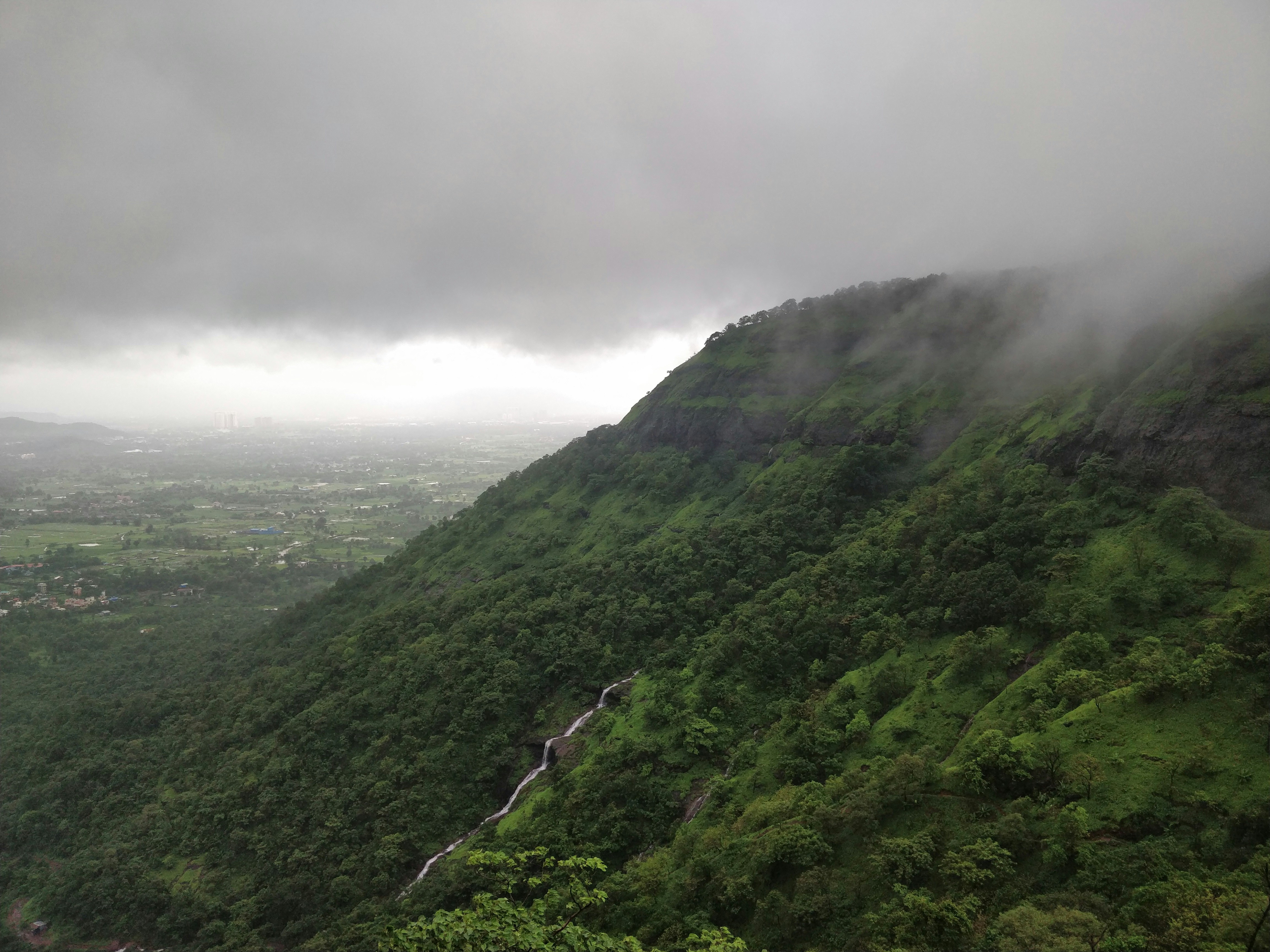 Misty Veil Over Verdant Hills