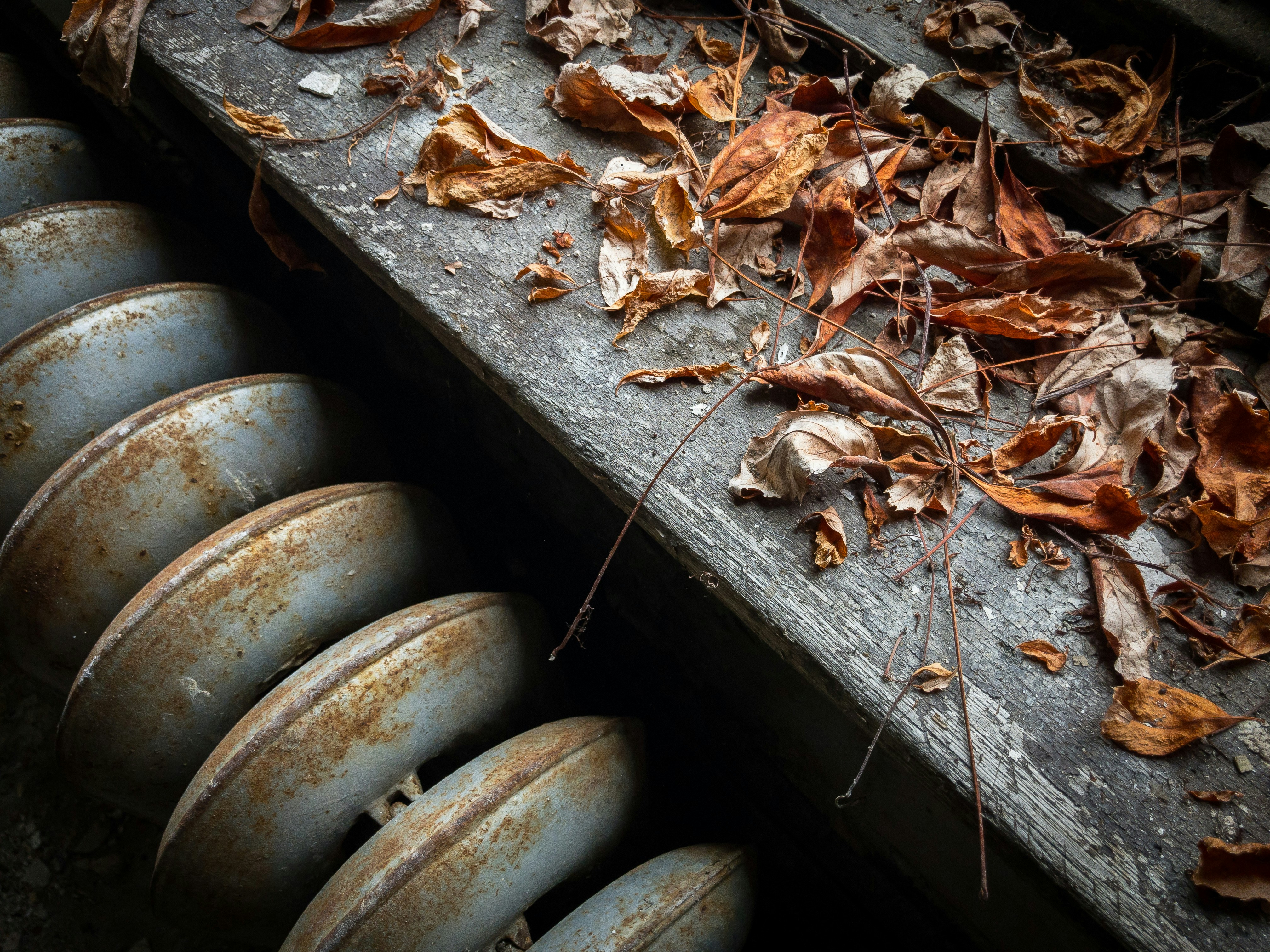 Timeworn Cylinders: Rusted Rollers Framing Autumn Debris