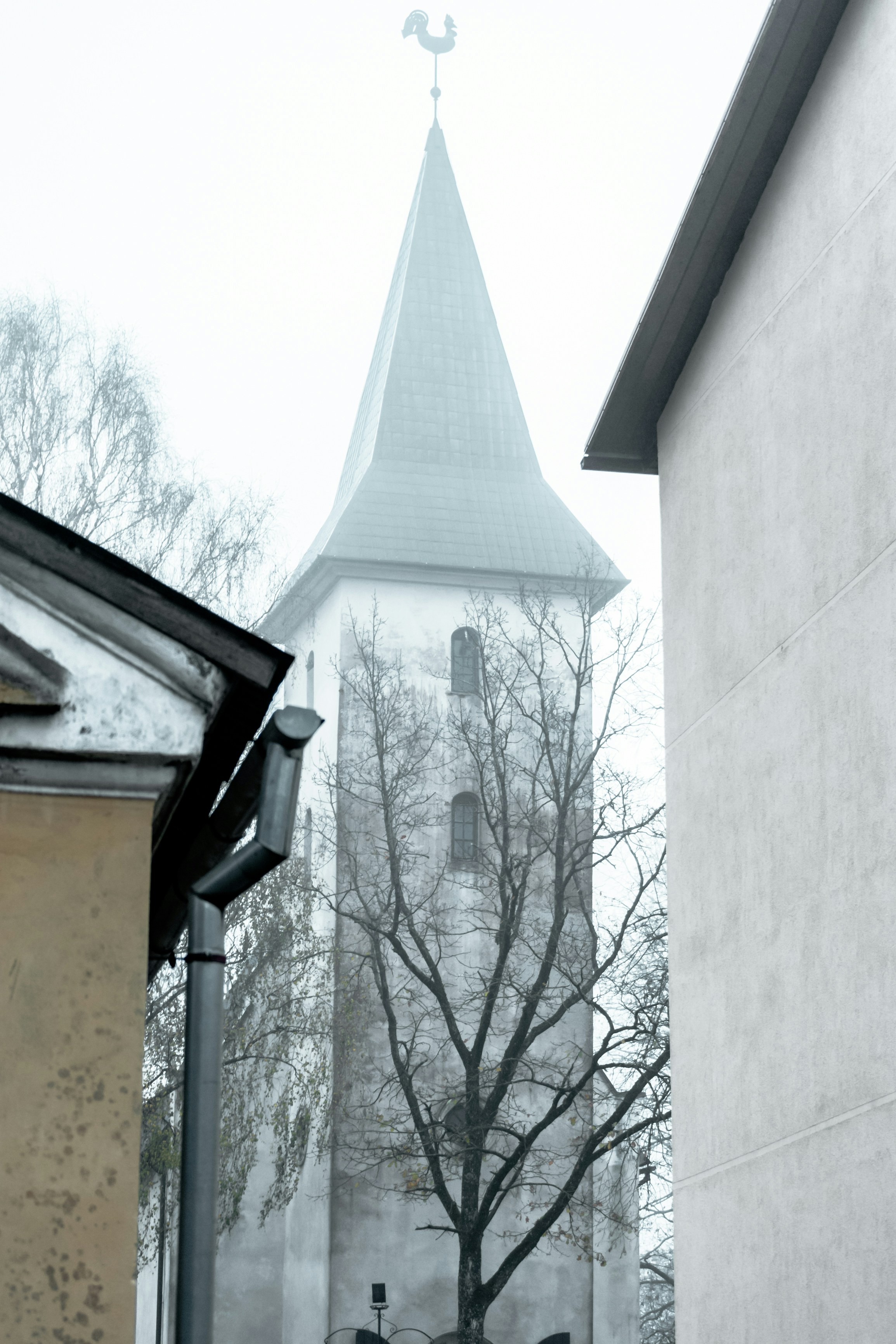 Bare tree beside a gray concrete church photo – Free Priekule Image on ...