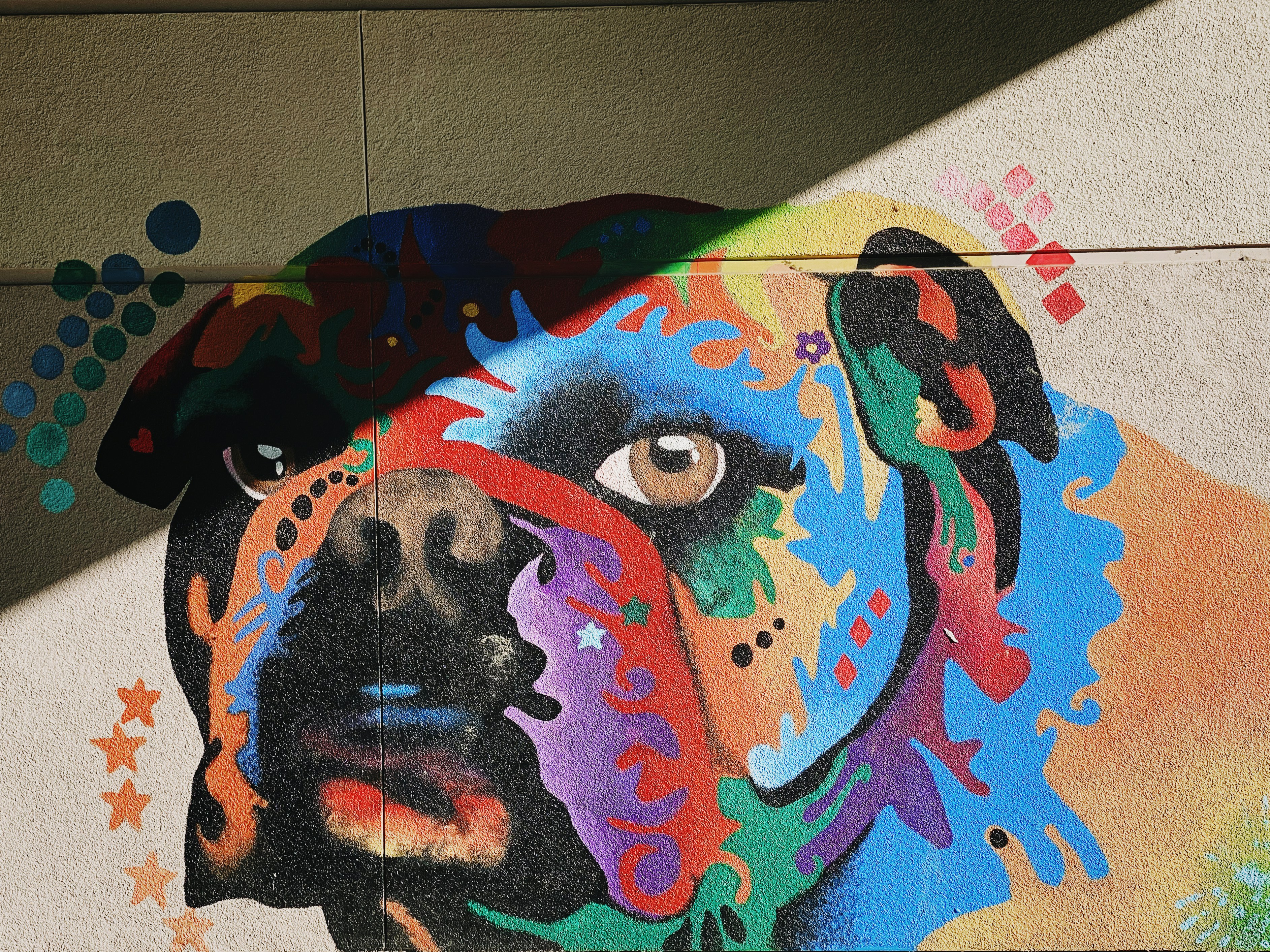Prismatic Bulldog Under a Diagonal Sunbeam