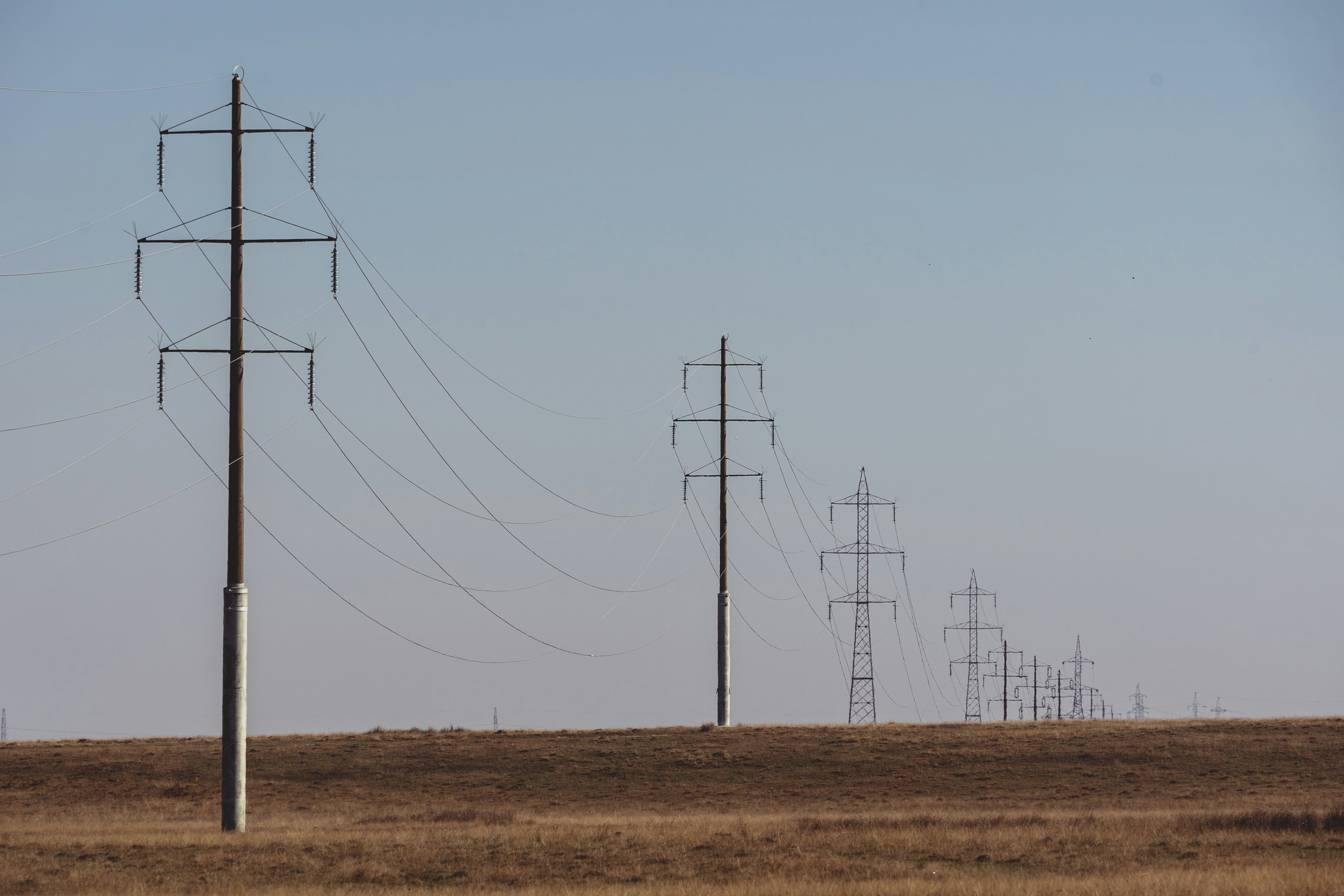 Selective focus photography of electric posts photo – Free Grey Image ...