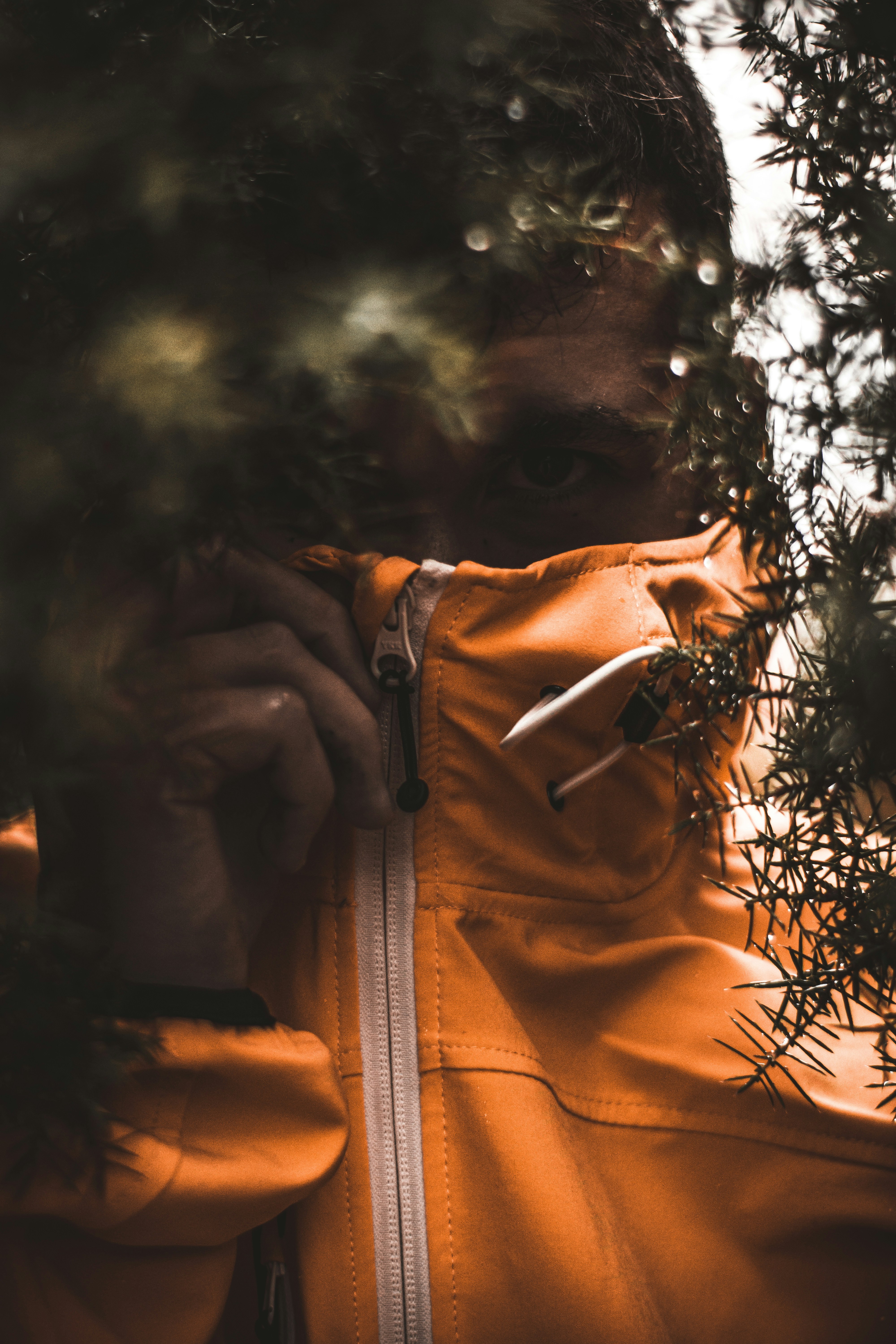 Hidden Gaze in the Forest Mask