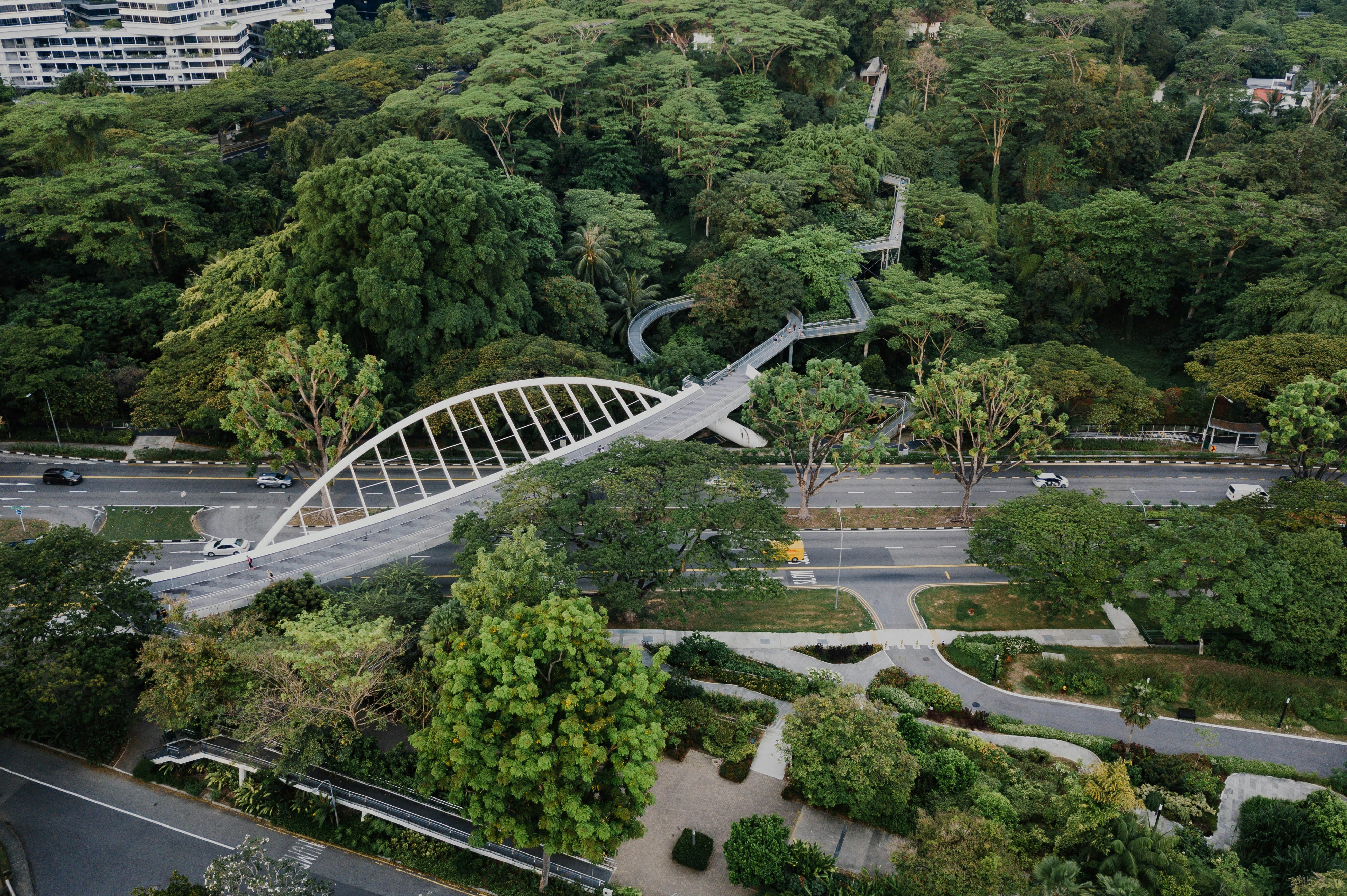 aerial photography of white bridge