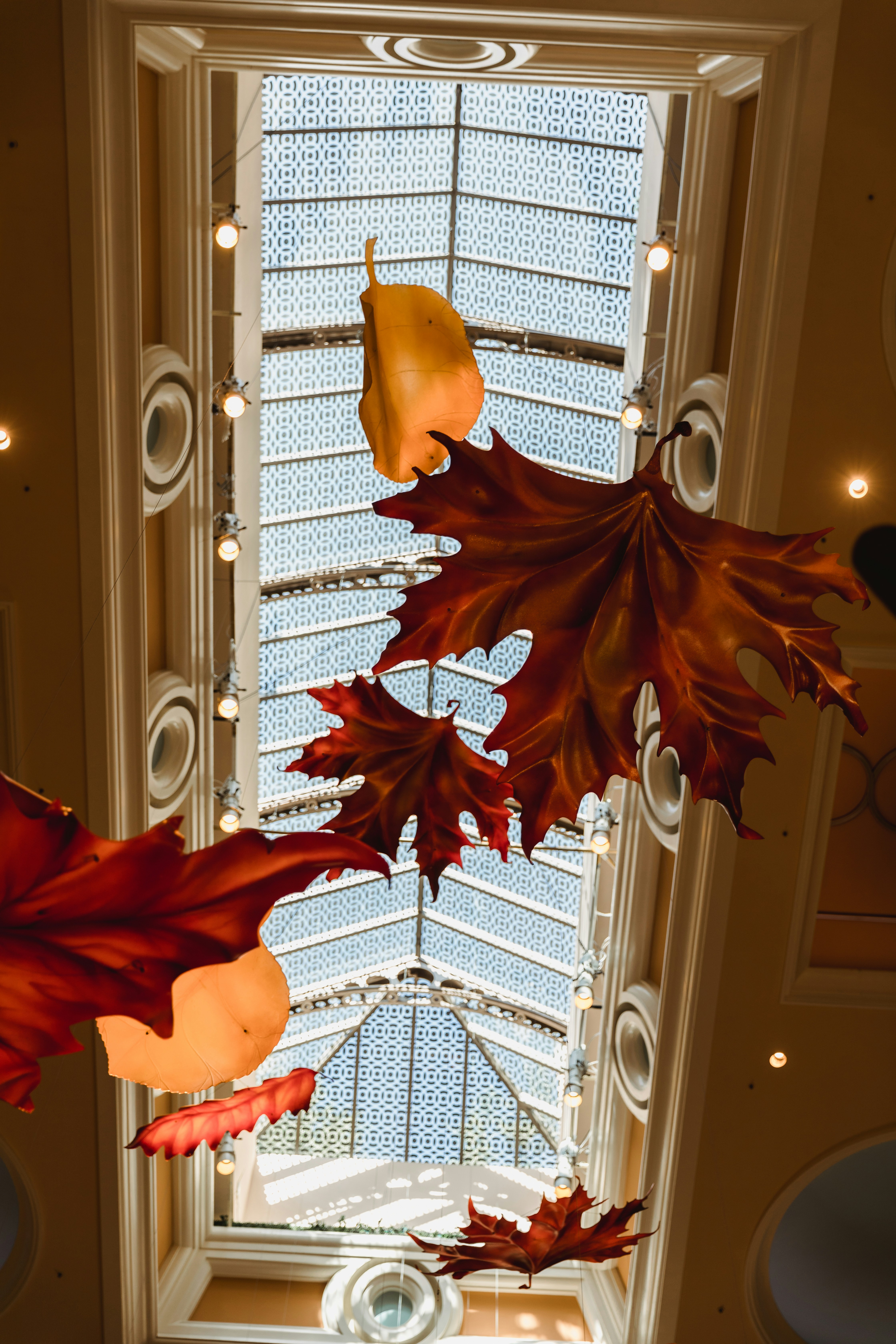 Floating autumn leaves drift under a glass skylight