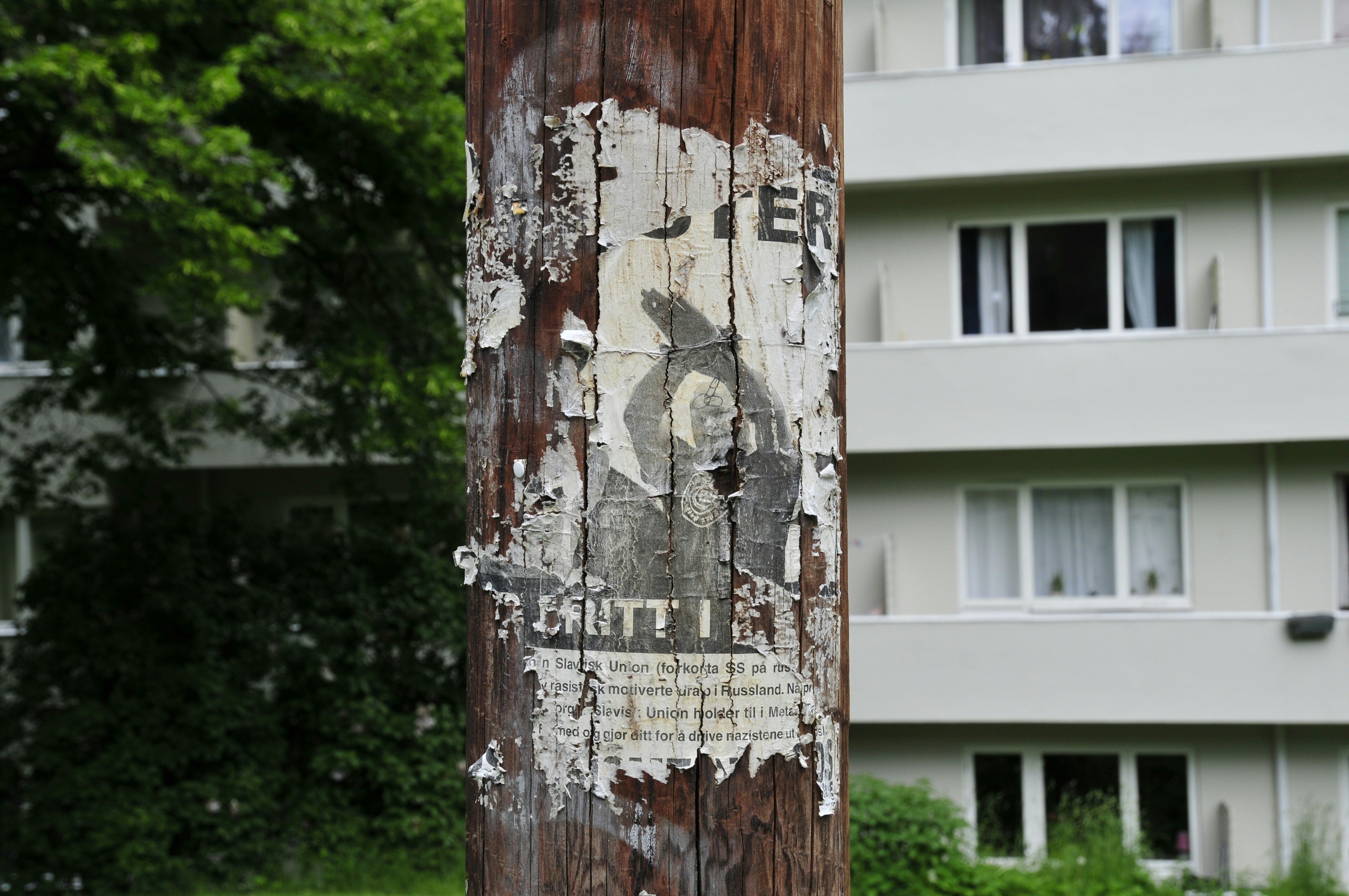 Tattered posters cling to a weathered utility pole against a modern apartment backdrop