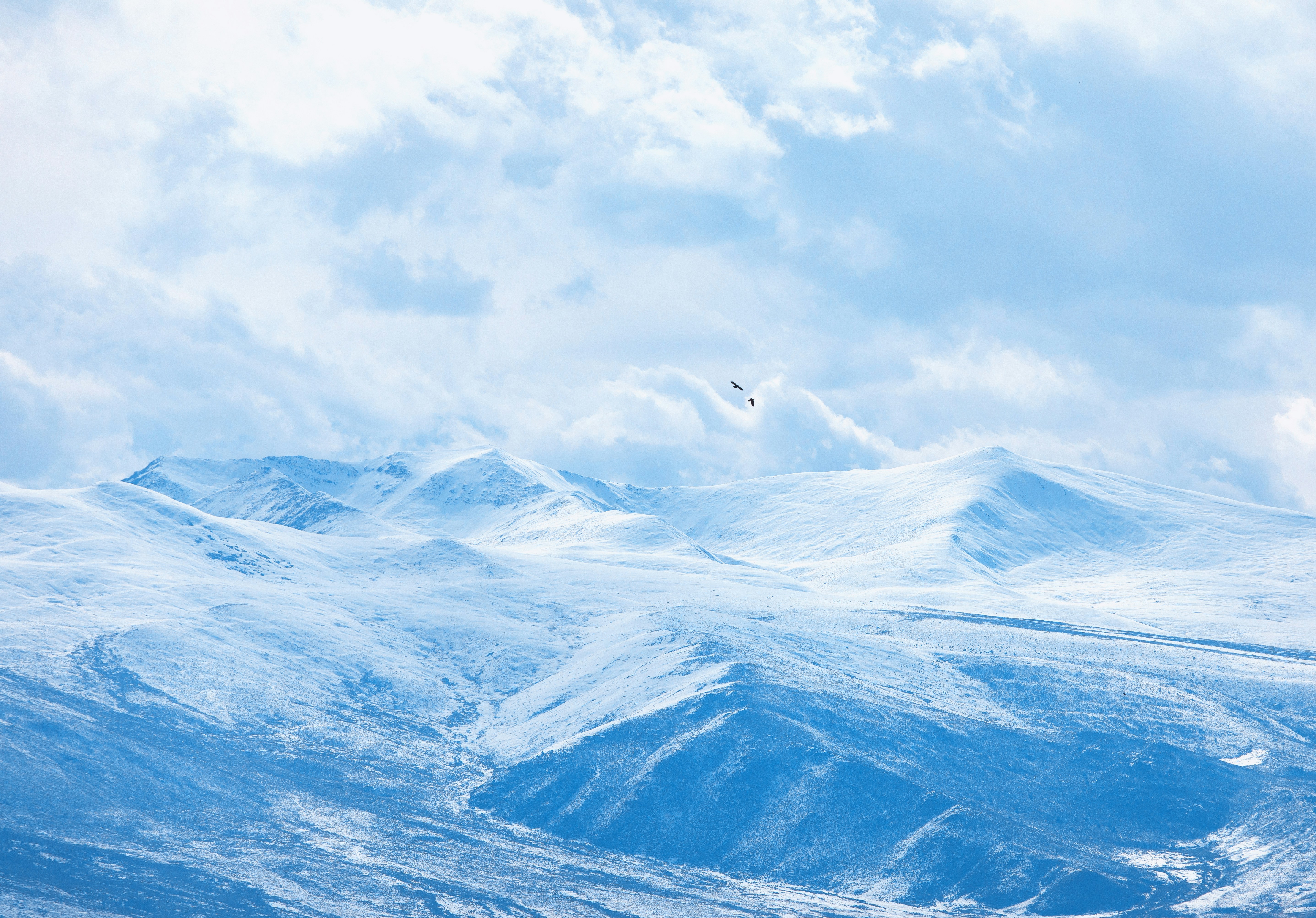Expansive view of snow-covered mountains under a cloudy sky, featuring a solitary bird in flight. The serene landscape evokes a sense of tranquility.