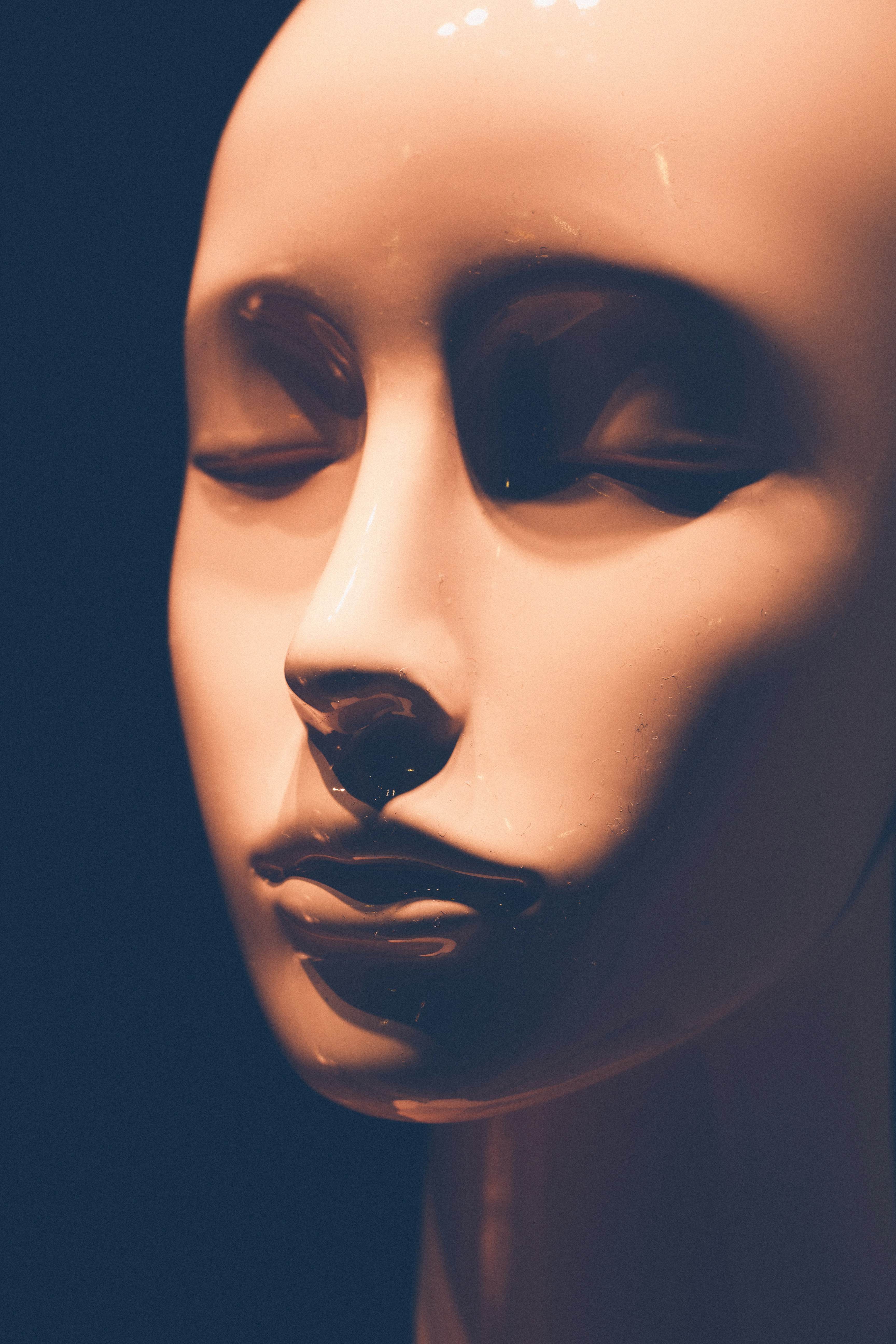 Human mannequin head photo – Free Grey Image on Unsplash
