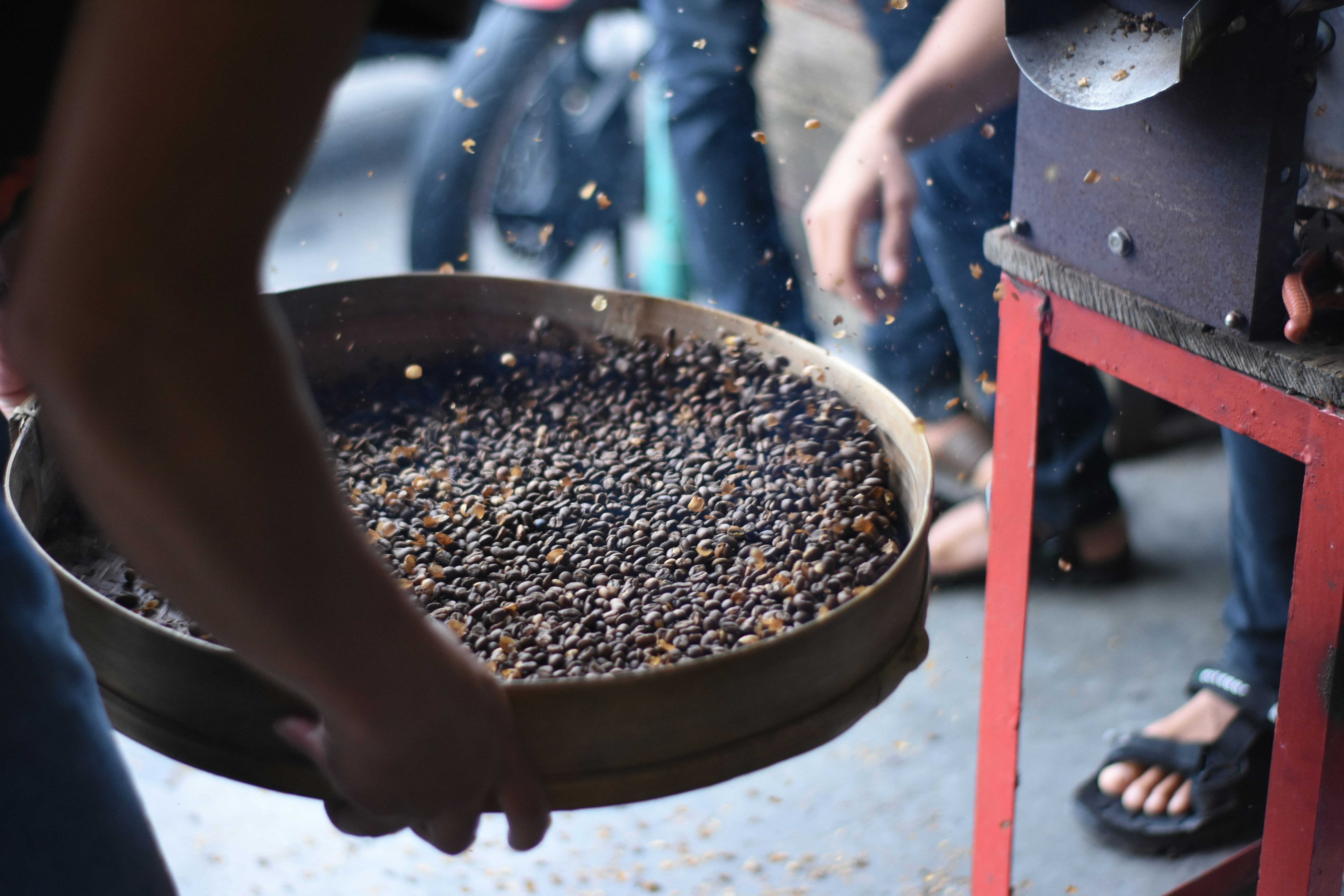 Hands skillfully sorting roasted coffee beans in a bustling market setting. The scene captures the intricate process of preparing coffee for sale.