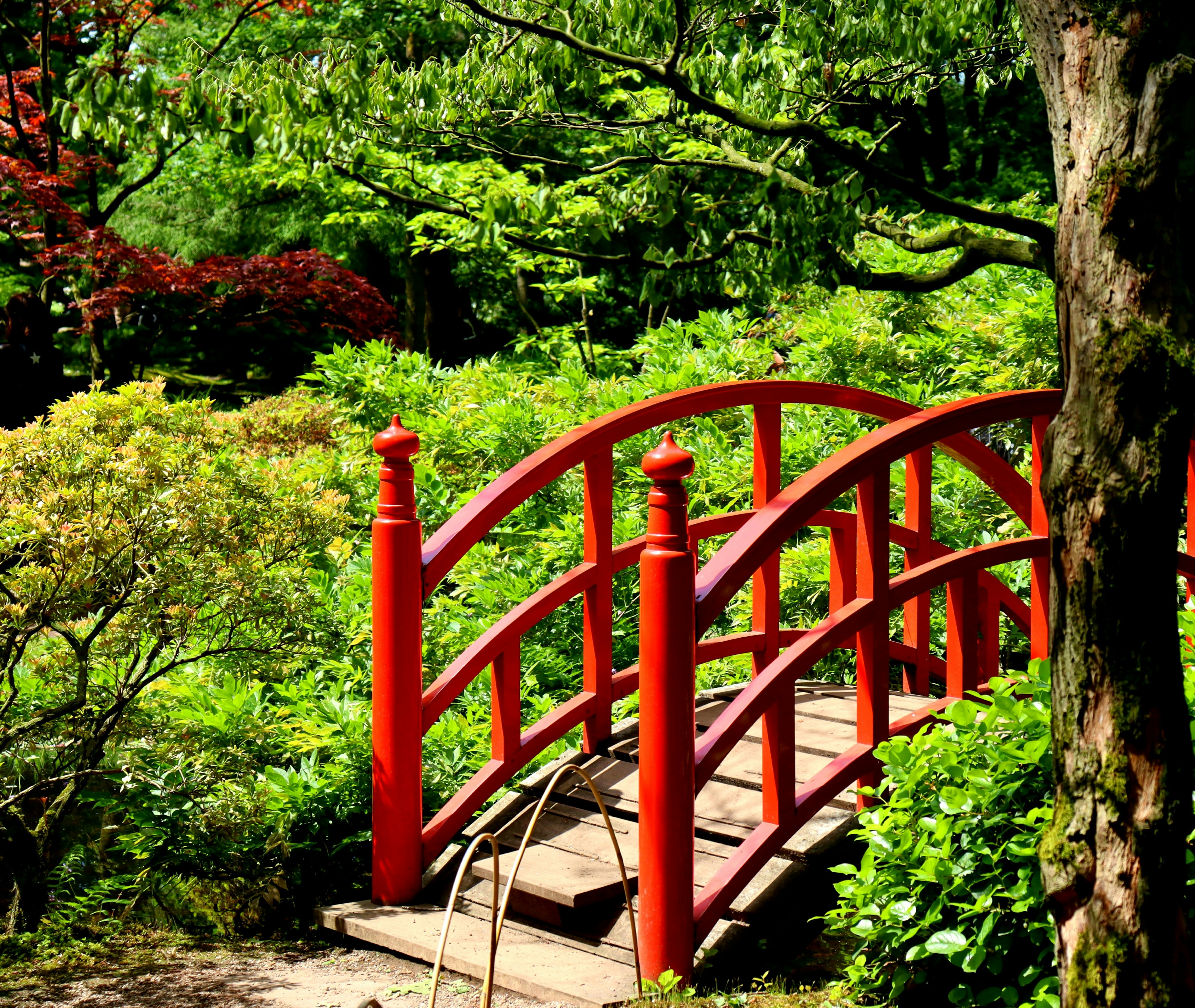 Red arch bridge between plants and trees photo – Free Scheveningen ...