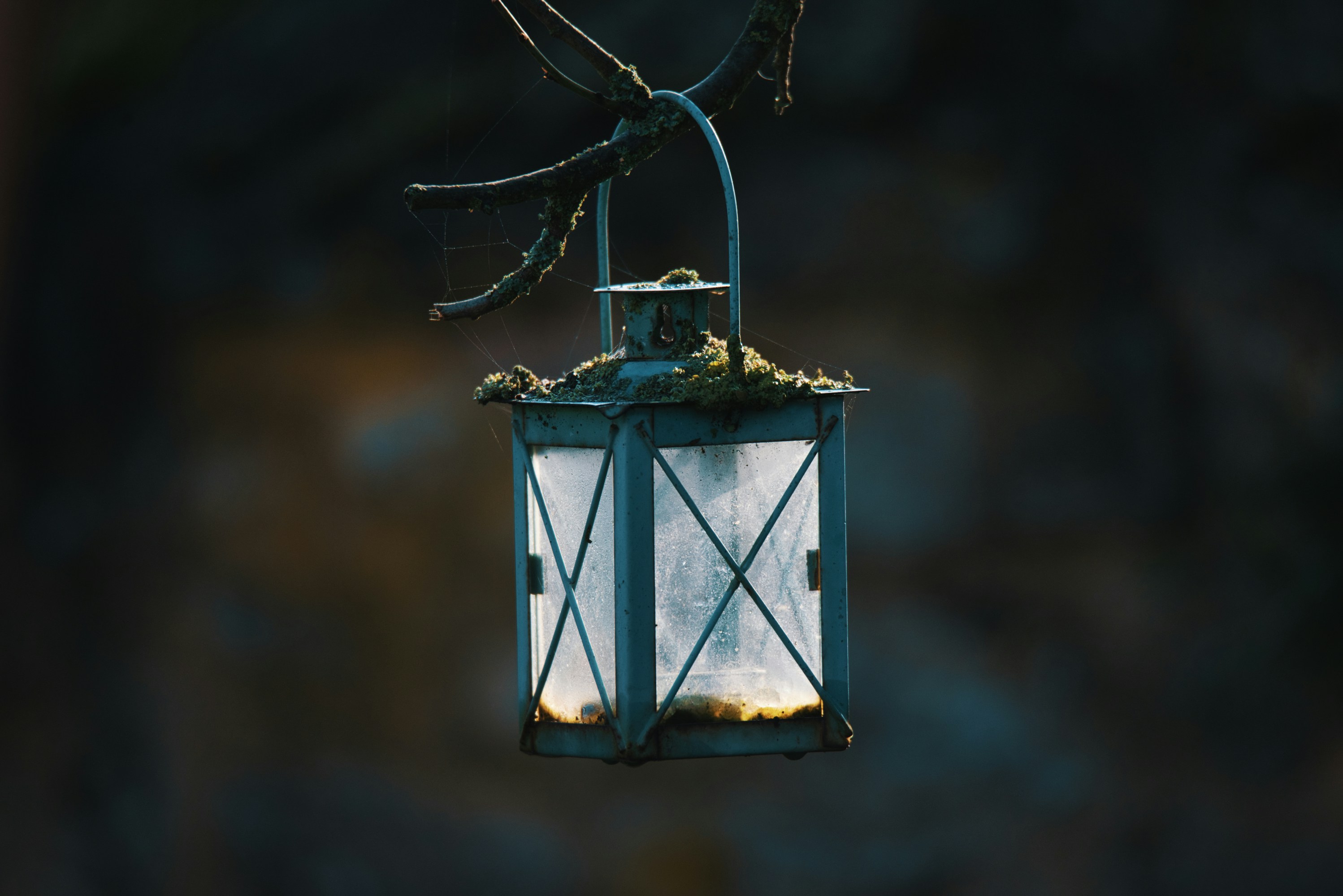 Rustic lantern suspended from a branch, adorned with moss, softly illuminated against a blurred background.