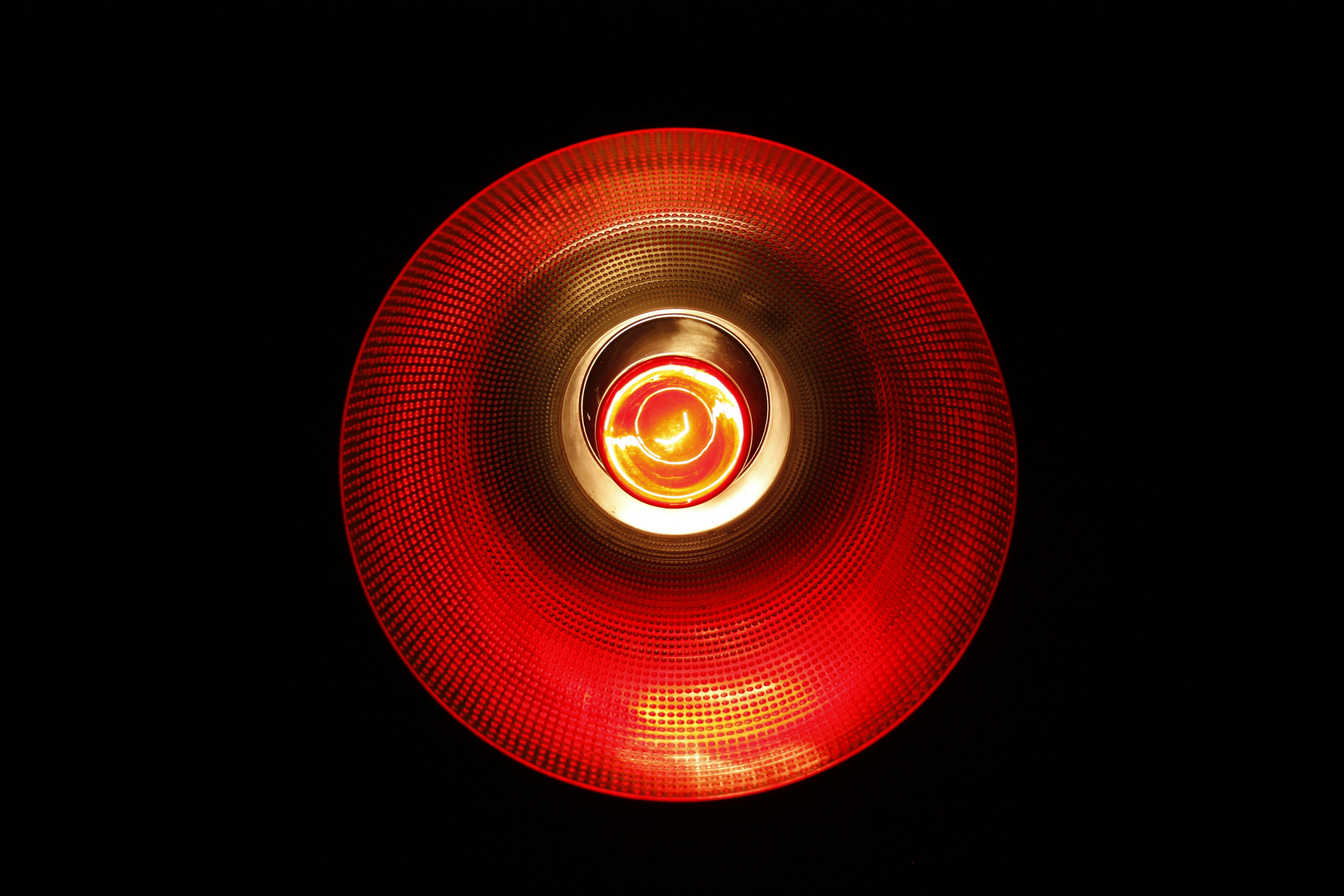 Red bulb photo – Free Vale do lobo Image on Unsplash