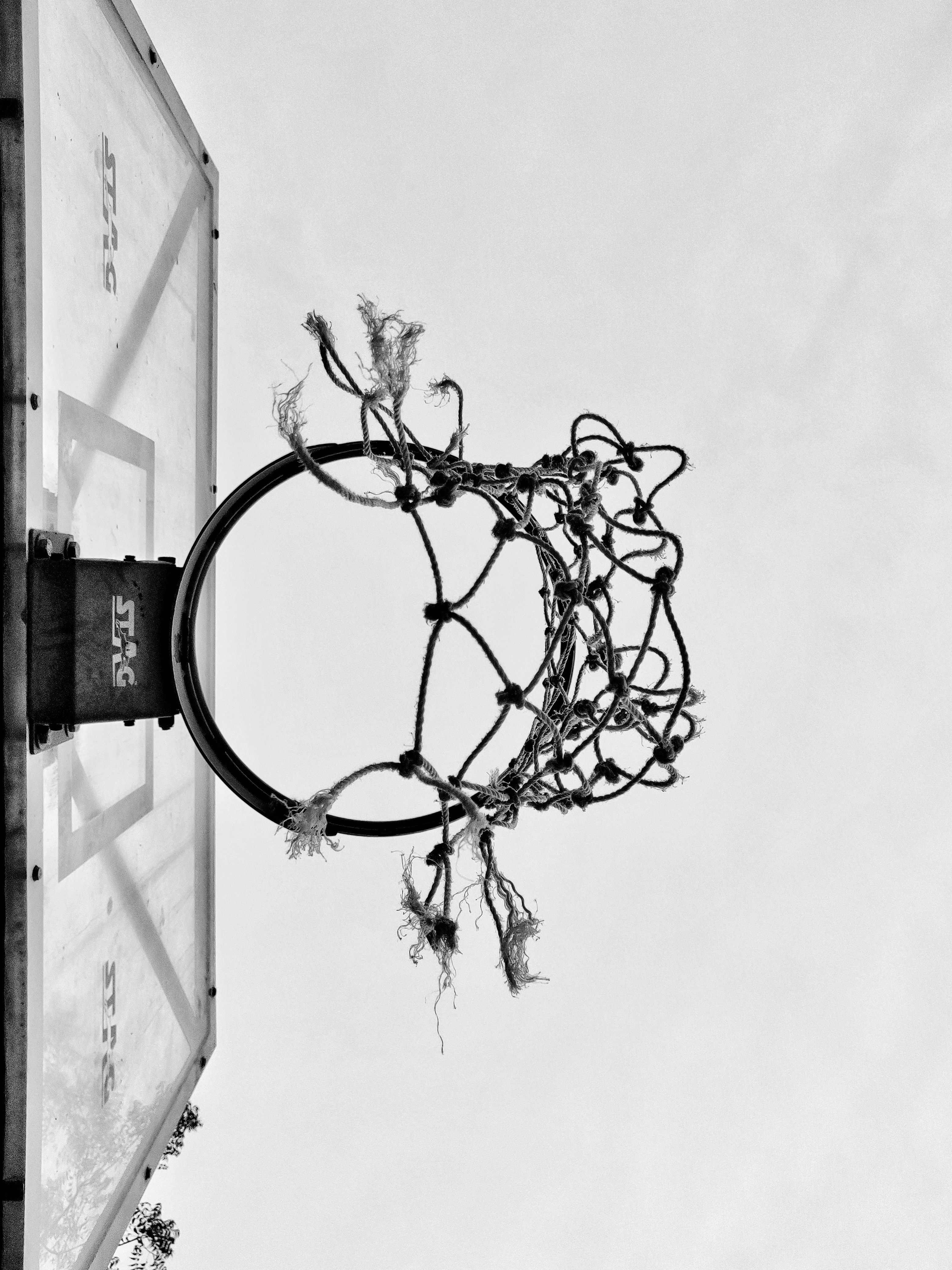 Basketball hoop photo – Free Grey Image on Unsplash