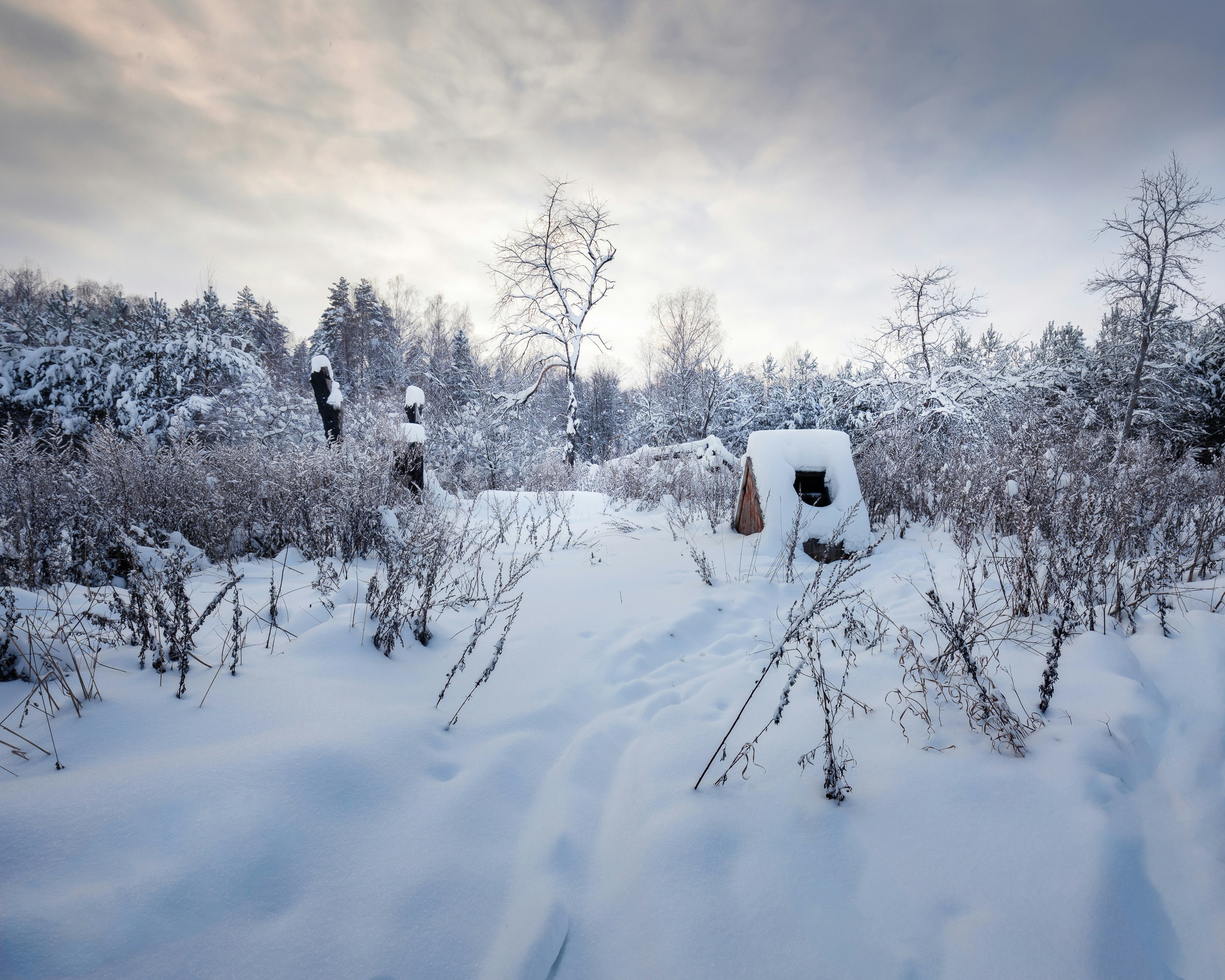 Hd Wallpapers of Natural Snow at August 07, 2020 at 11:45AM