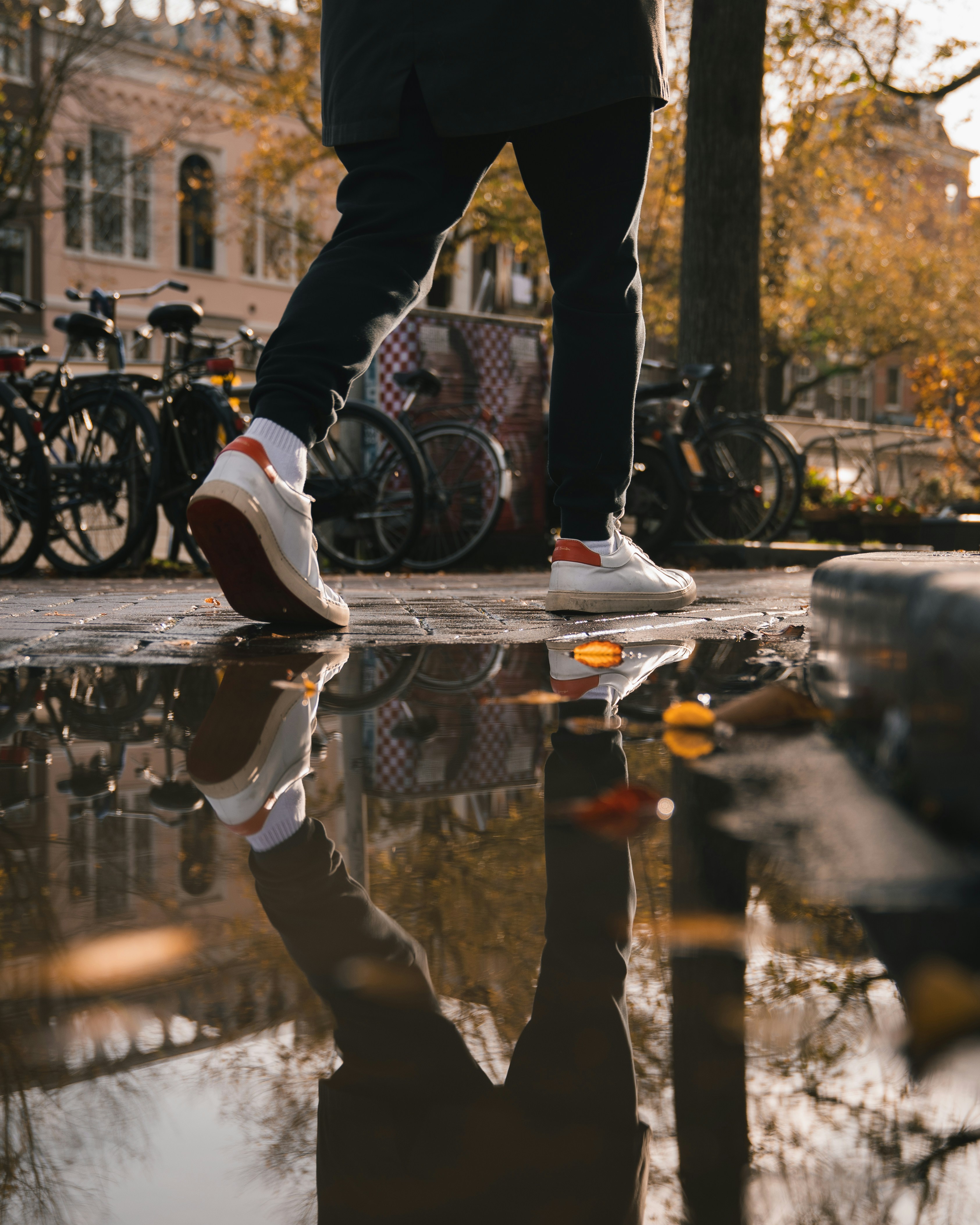 Step in the Puddle: Autumn Walk Reflections