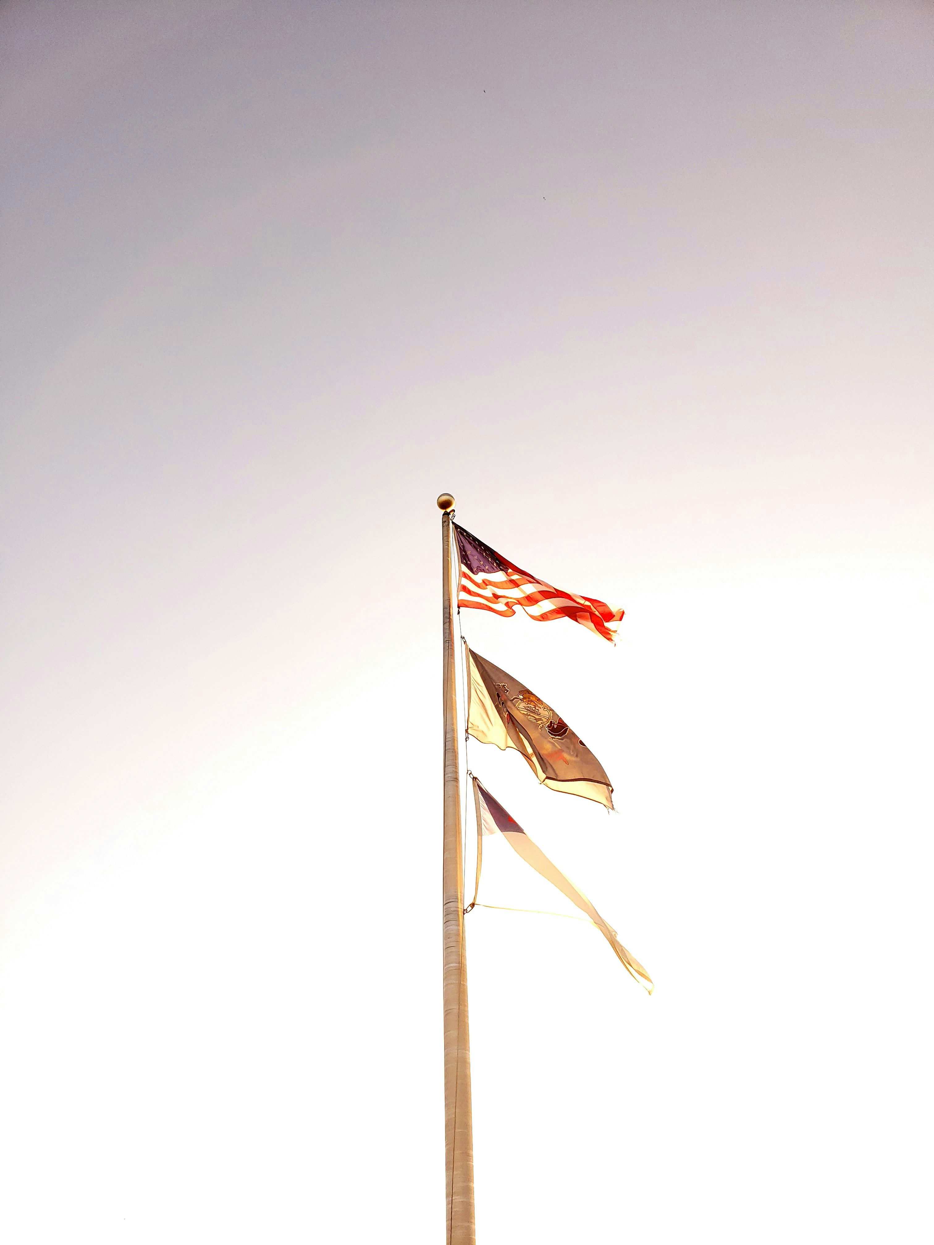 low angle photo of flags
