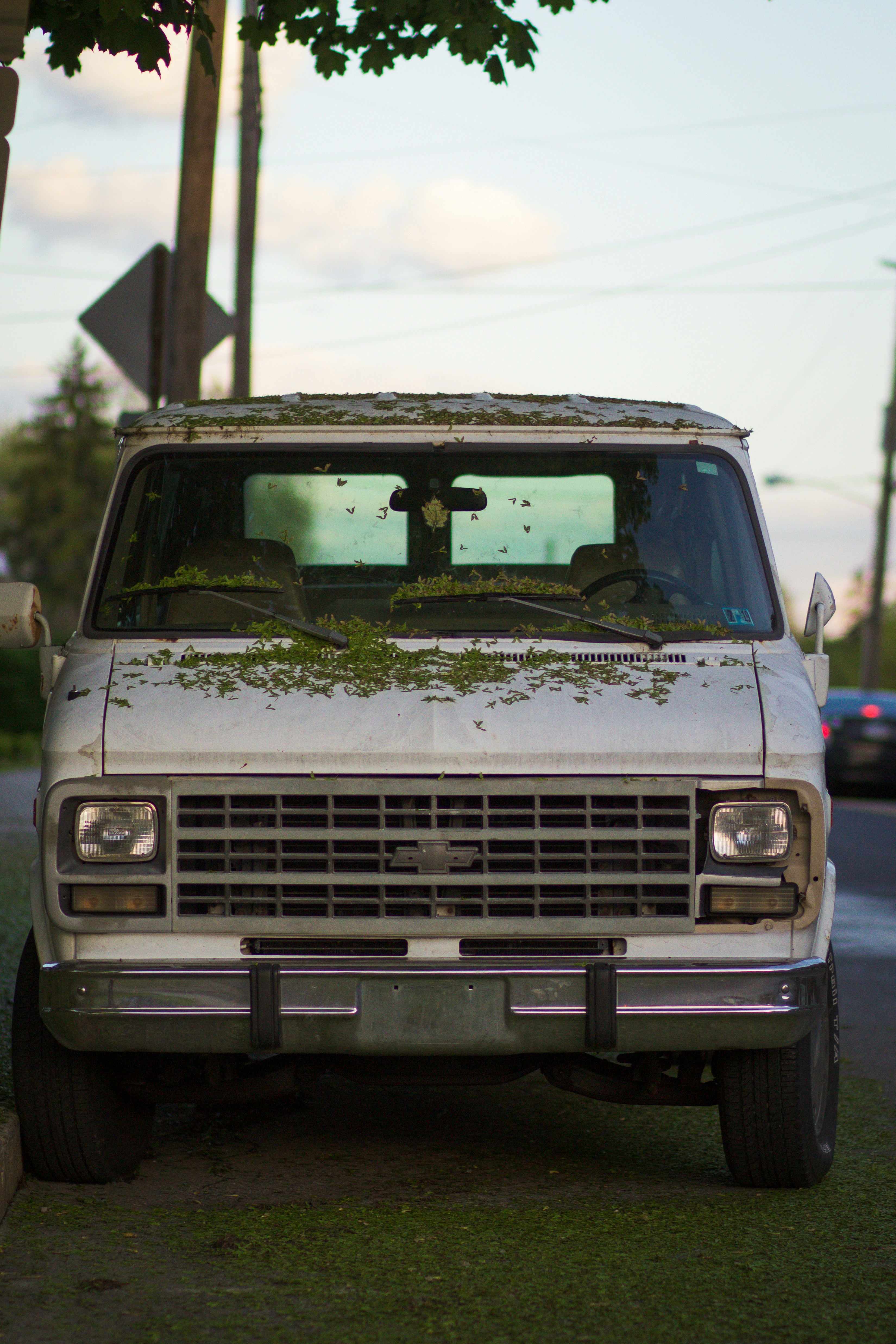 Moss-Covered Front End of a Vintage Van on a Quiet Street