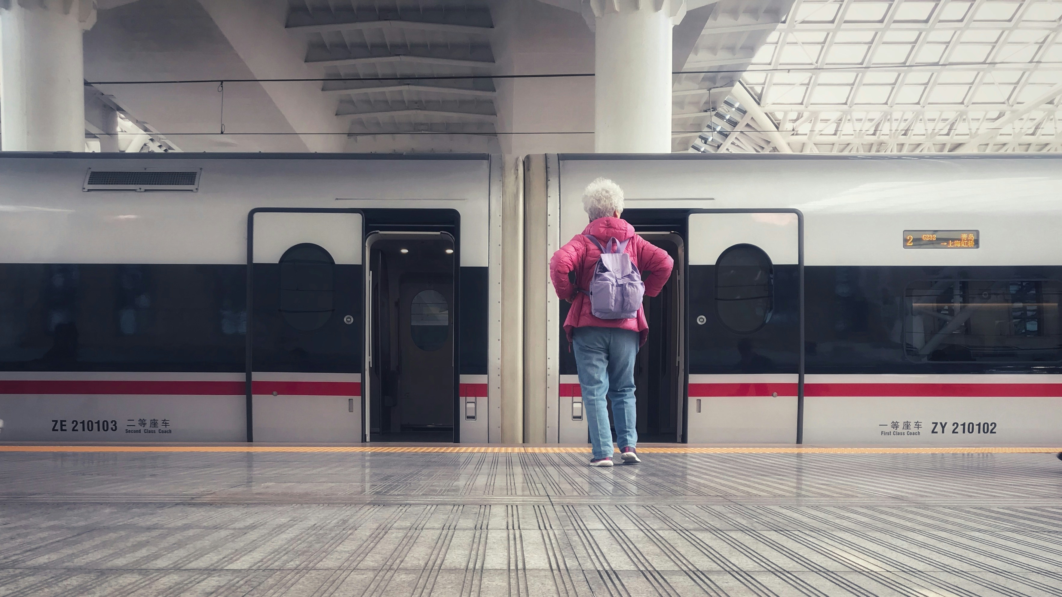 Traveler at the Platform Threshold