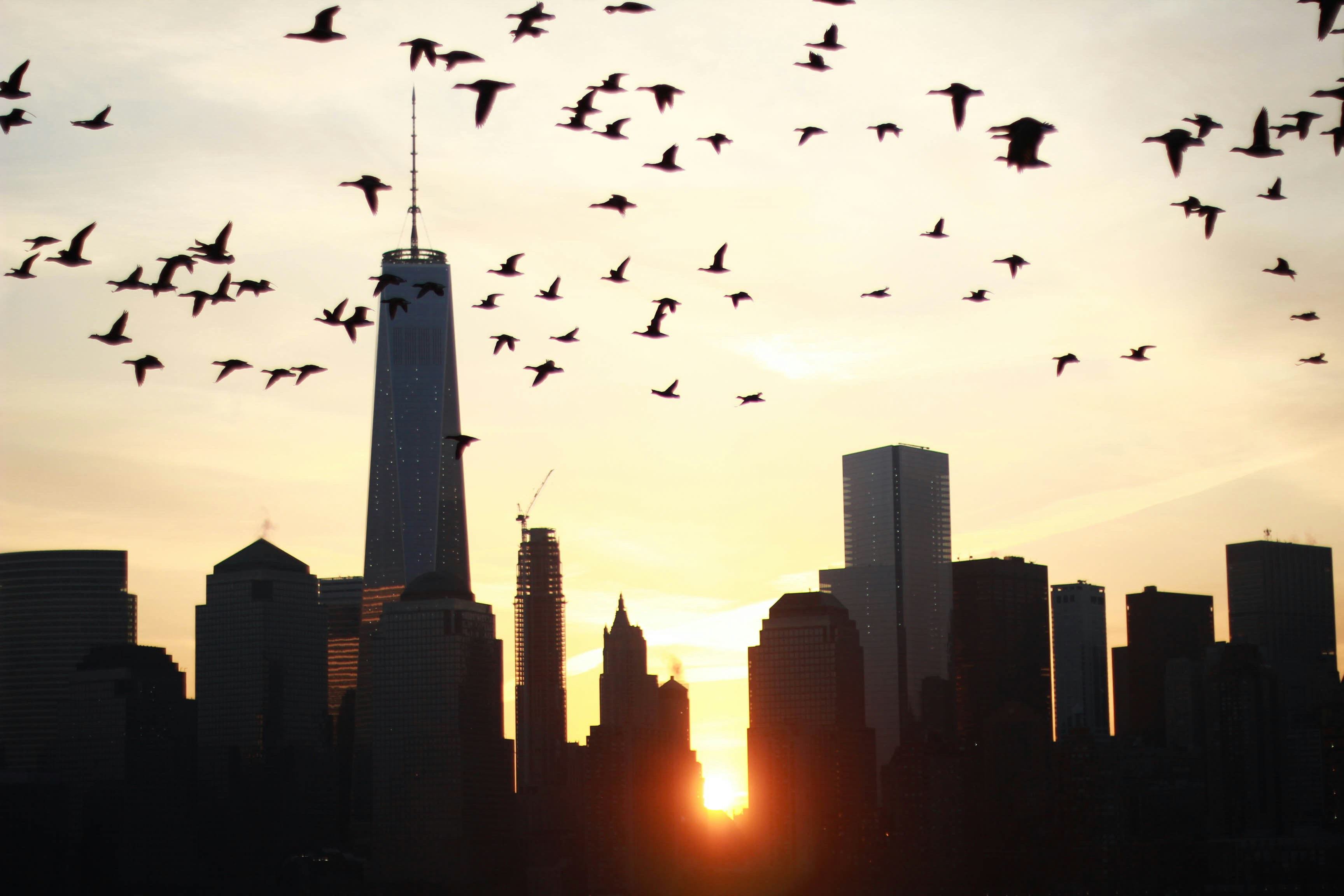 Dusk Flight Over a Sunlit City Skyline