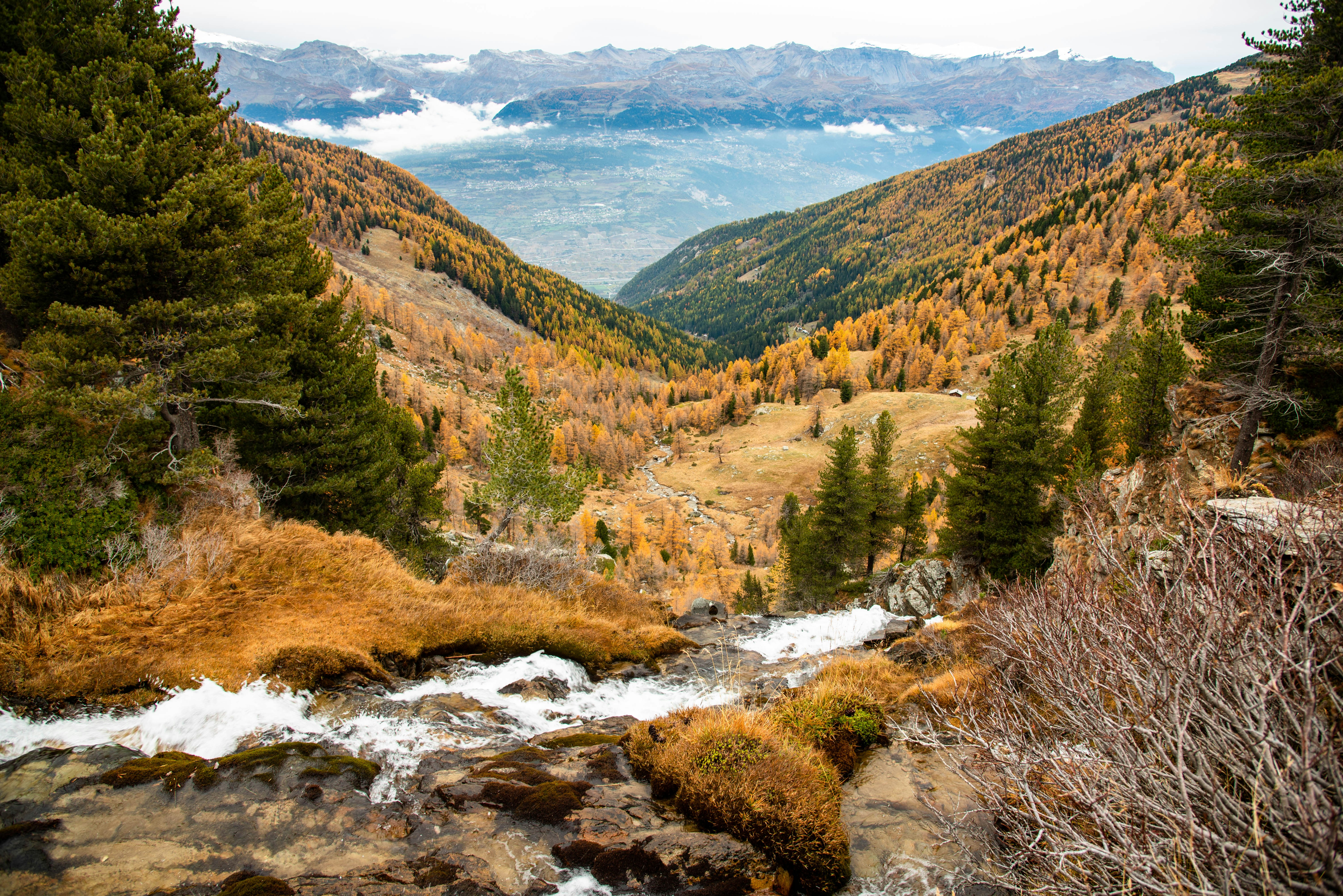 Best 100+ Torrent Pictures | Download Free Images & Stock Photos on ...