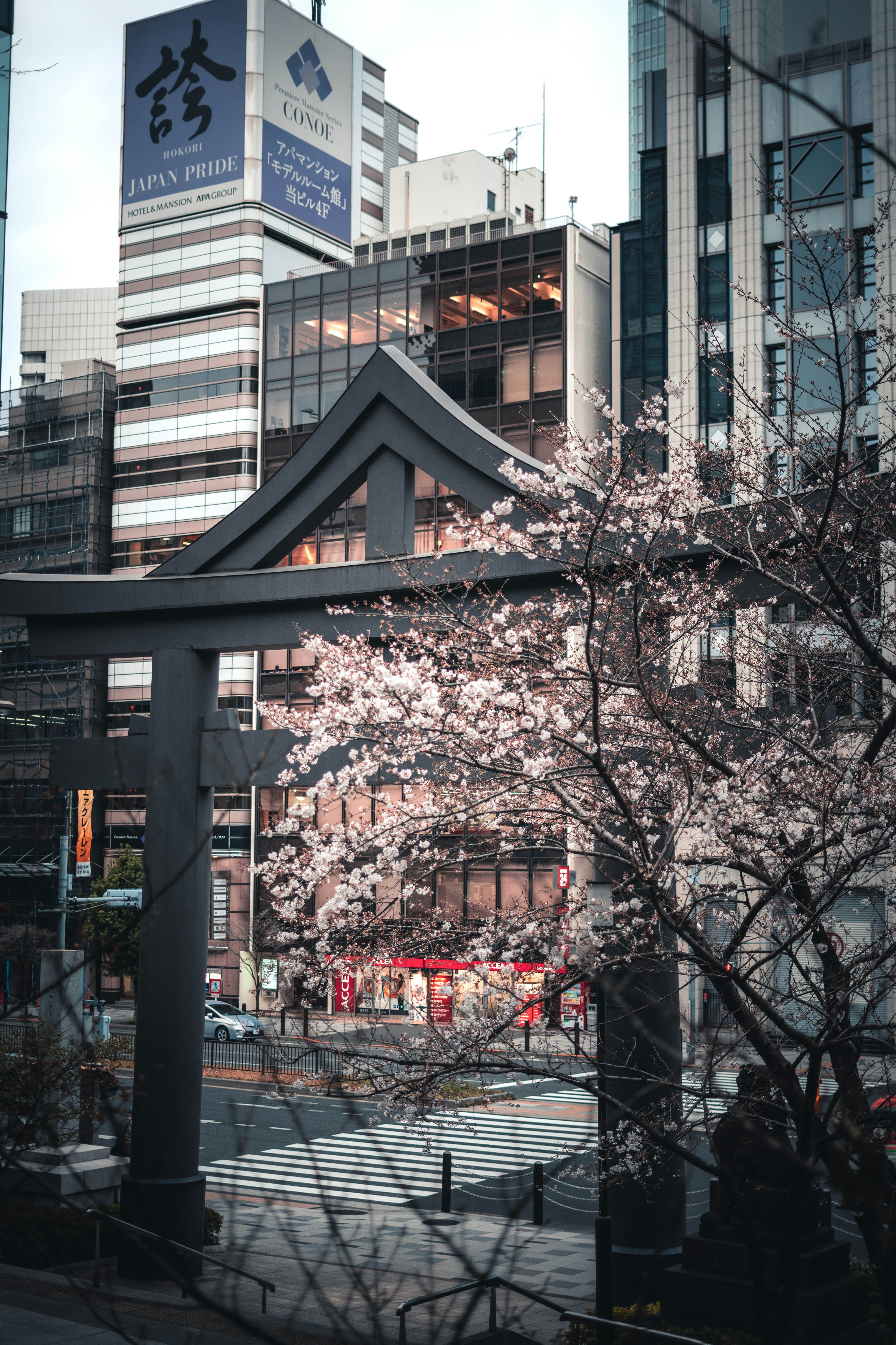 A traditional torii gate adorned with blooming cherry blossoms, set against a backdrop of modern city buildings. The scene captures the harmonious blend of nature and urban life.