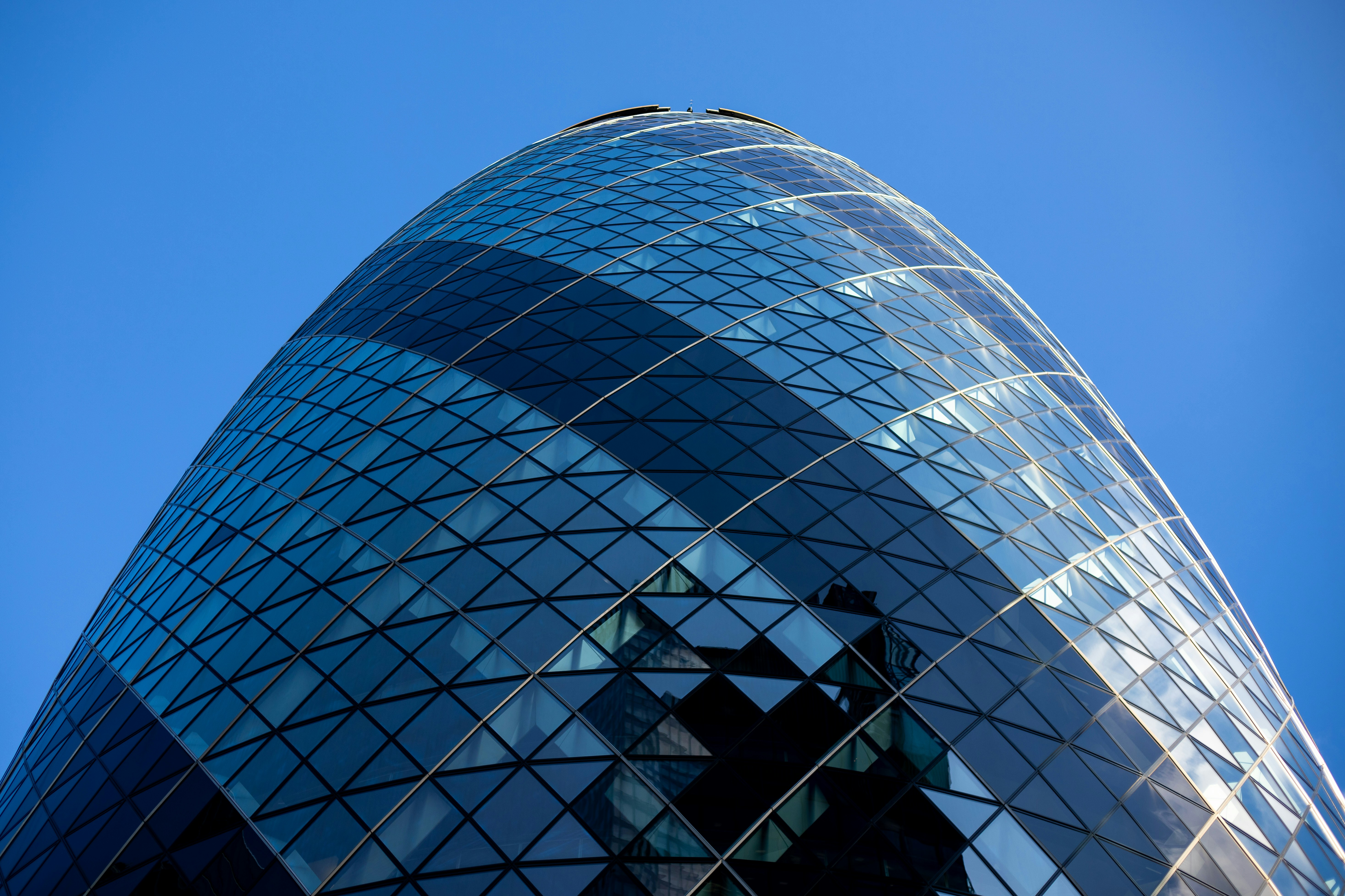 Egg building
