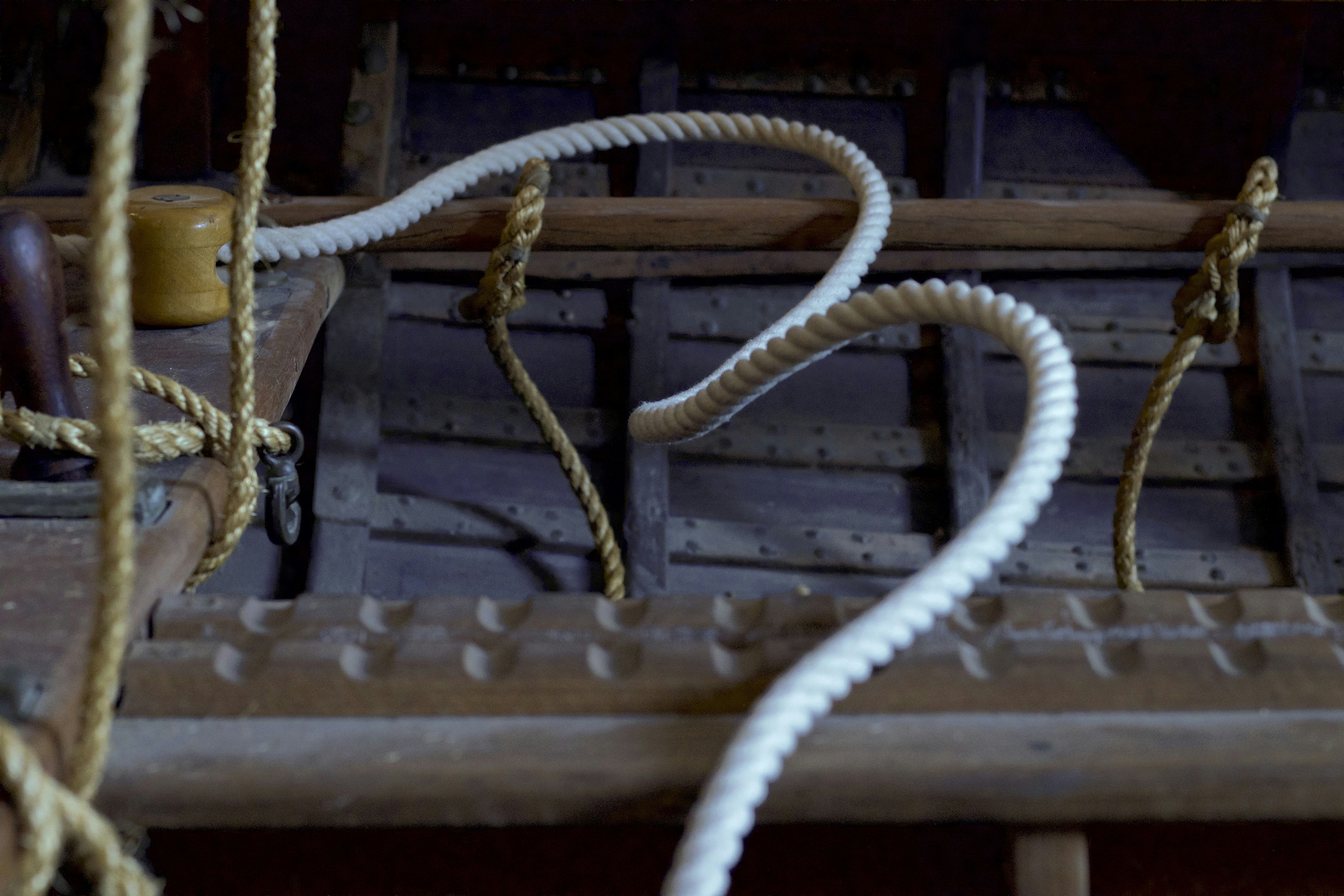 Braided Rope Pictures | Download Free Images on Unsplash