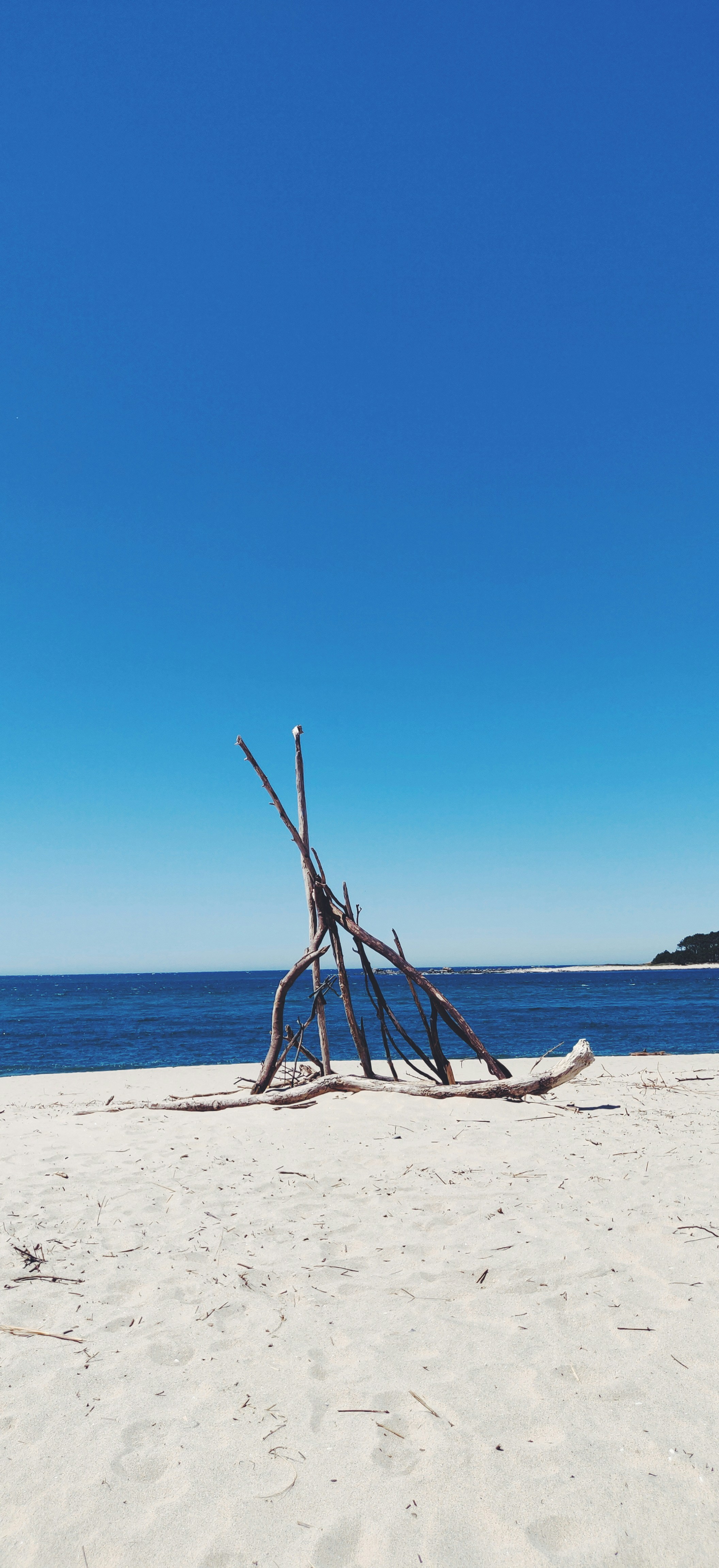 750+ Stick Pictures [HD] | Download Free Images on Unsplash