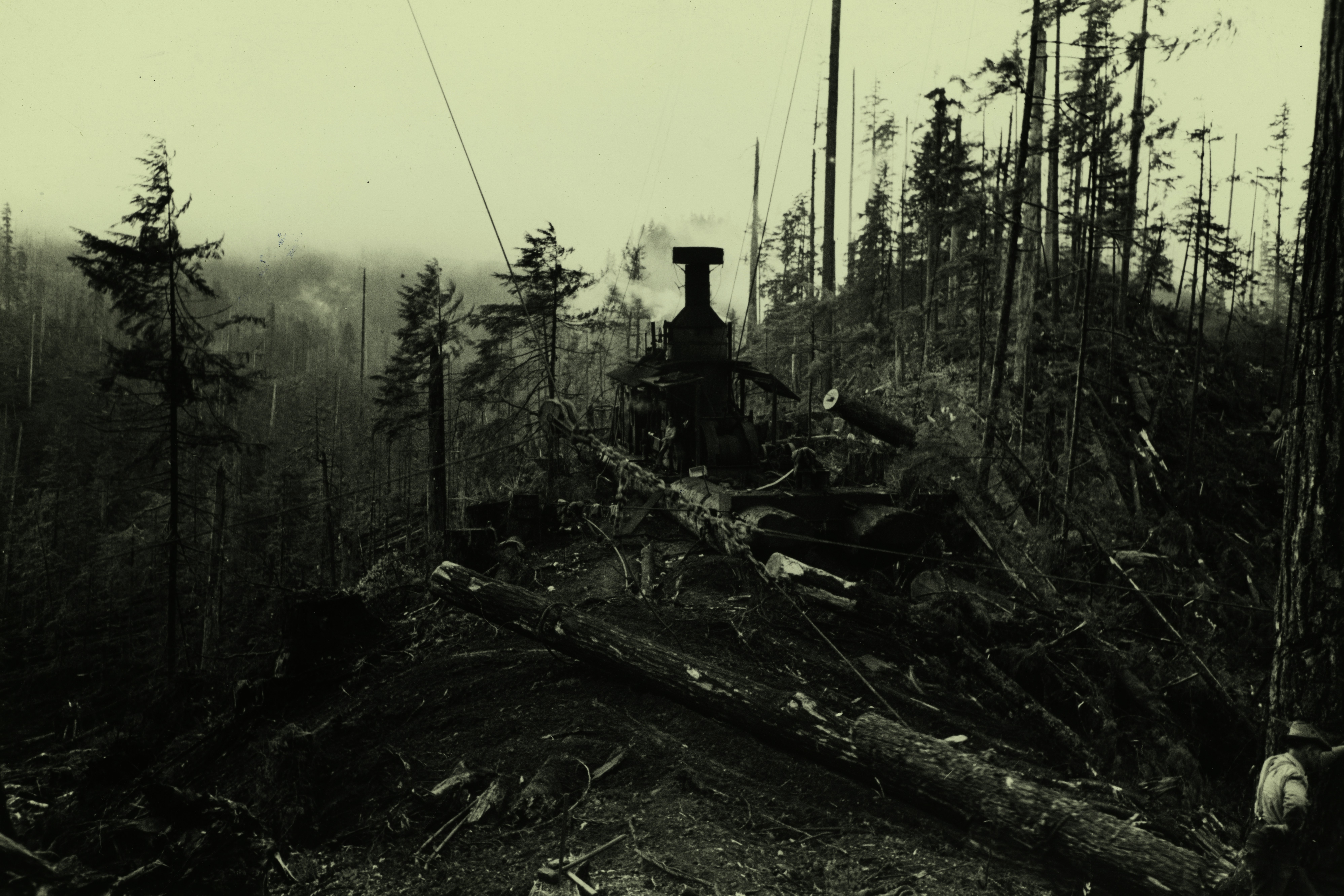 A black and white photo of a logging machine photo – Free Grey Image on ...