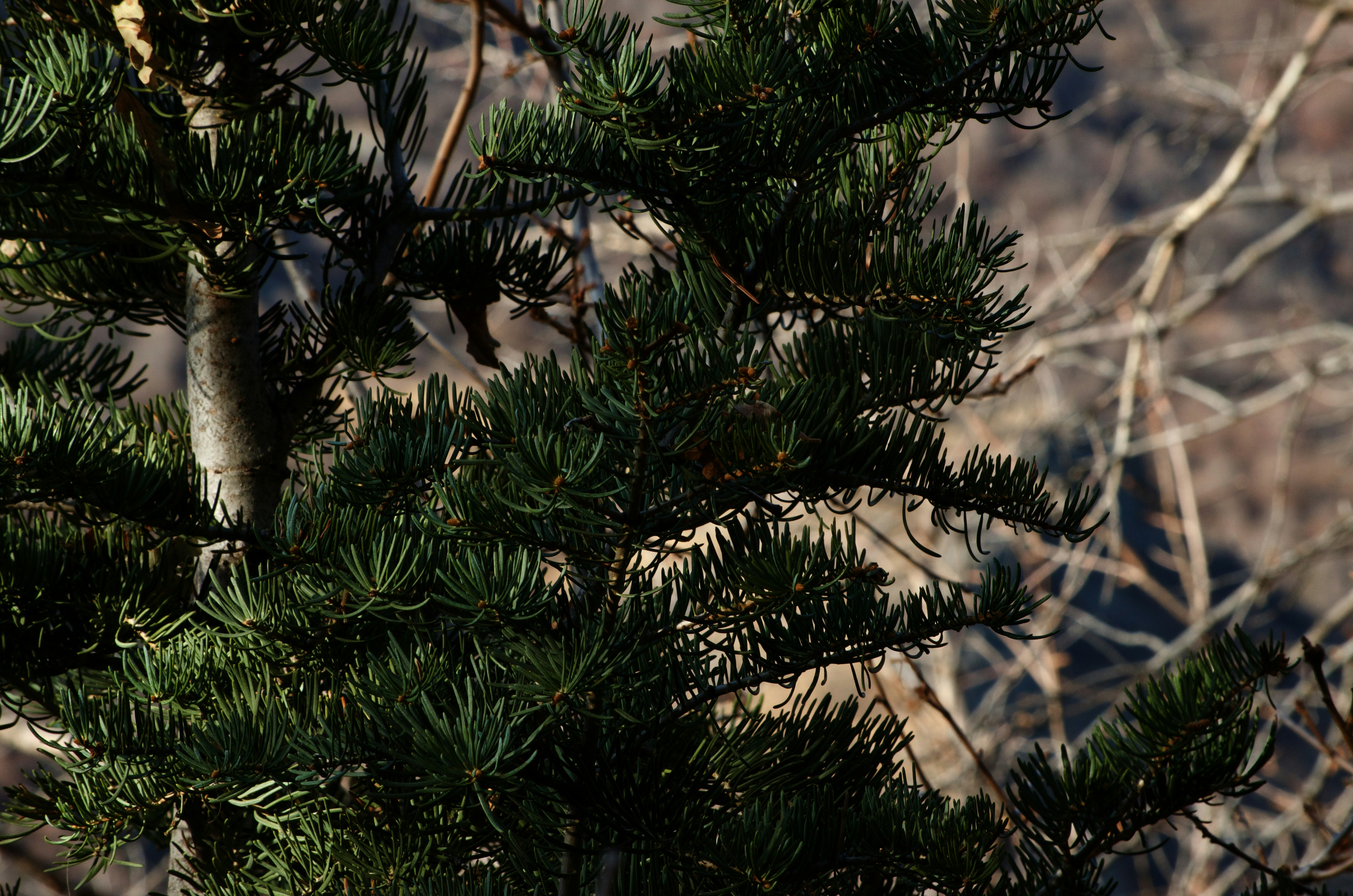 Alan Hardman (@alanaktion) | Unsplash Photo Community