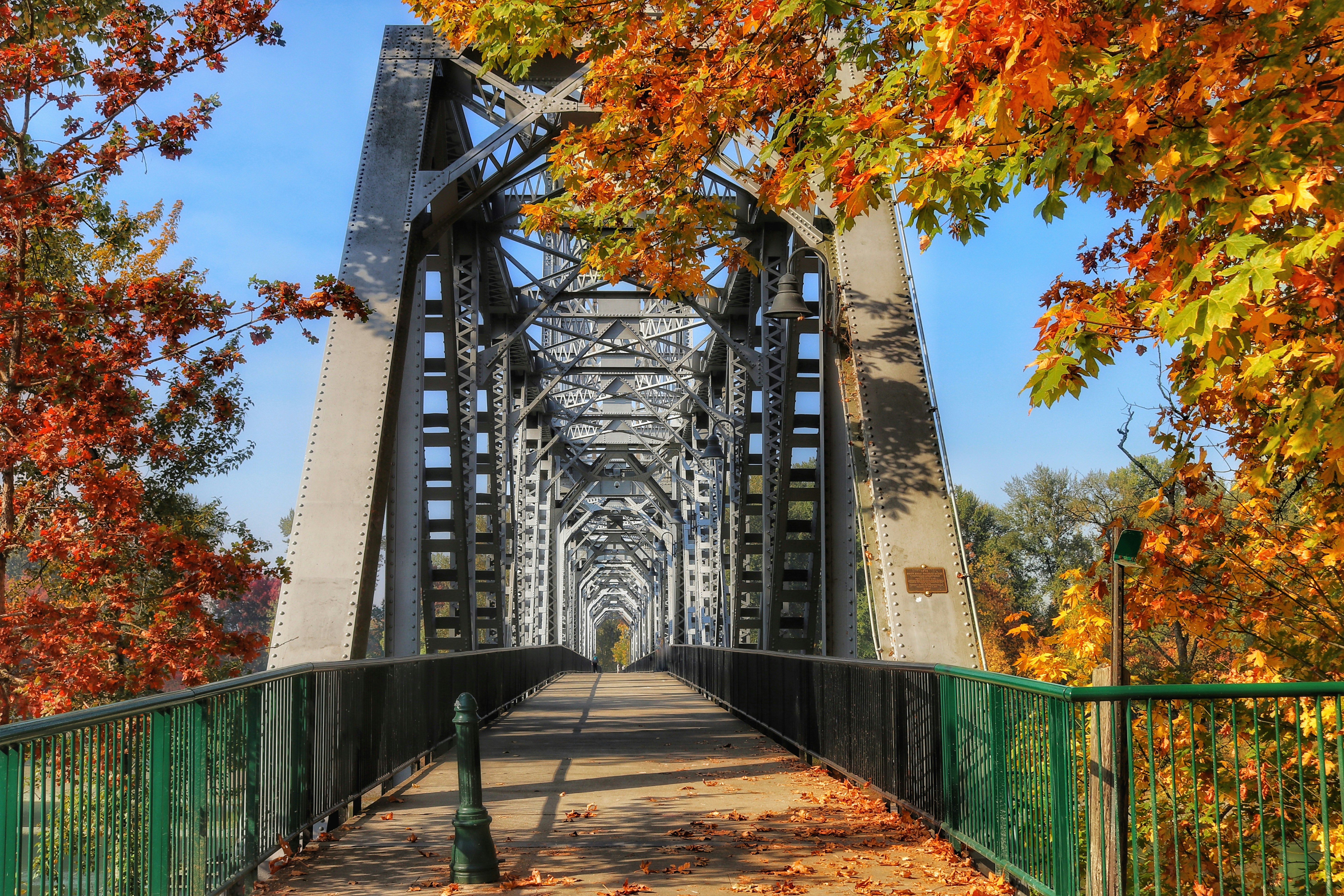 Photo of gray steel bridge photo – Free Railing Image on Unsplash