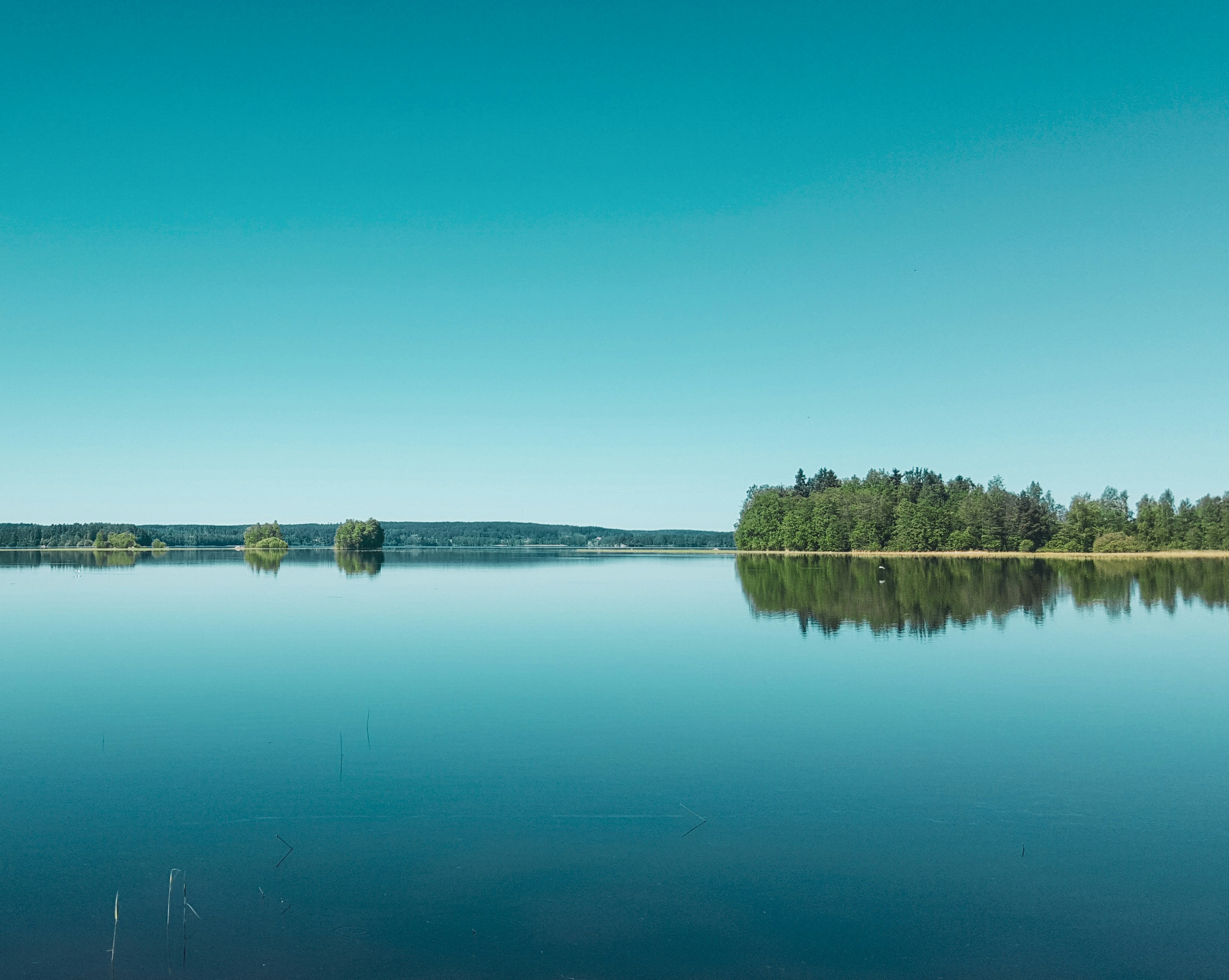 Calm lake reflecting the clear blue sky and surrounding greenery, creating a serene natural scene.