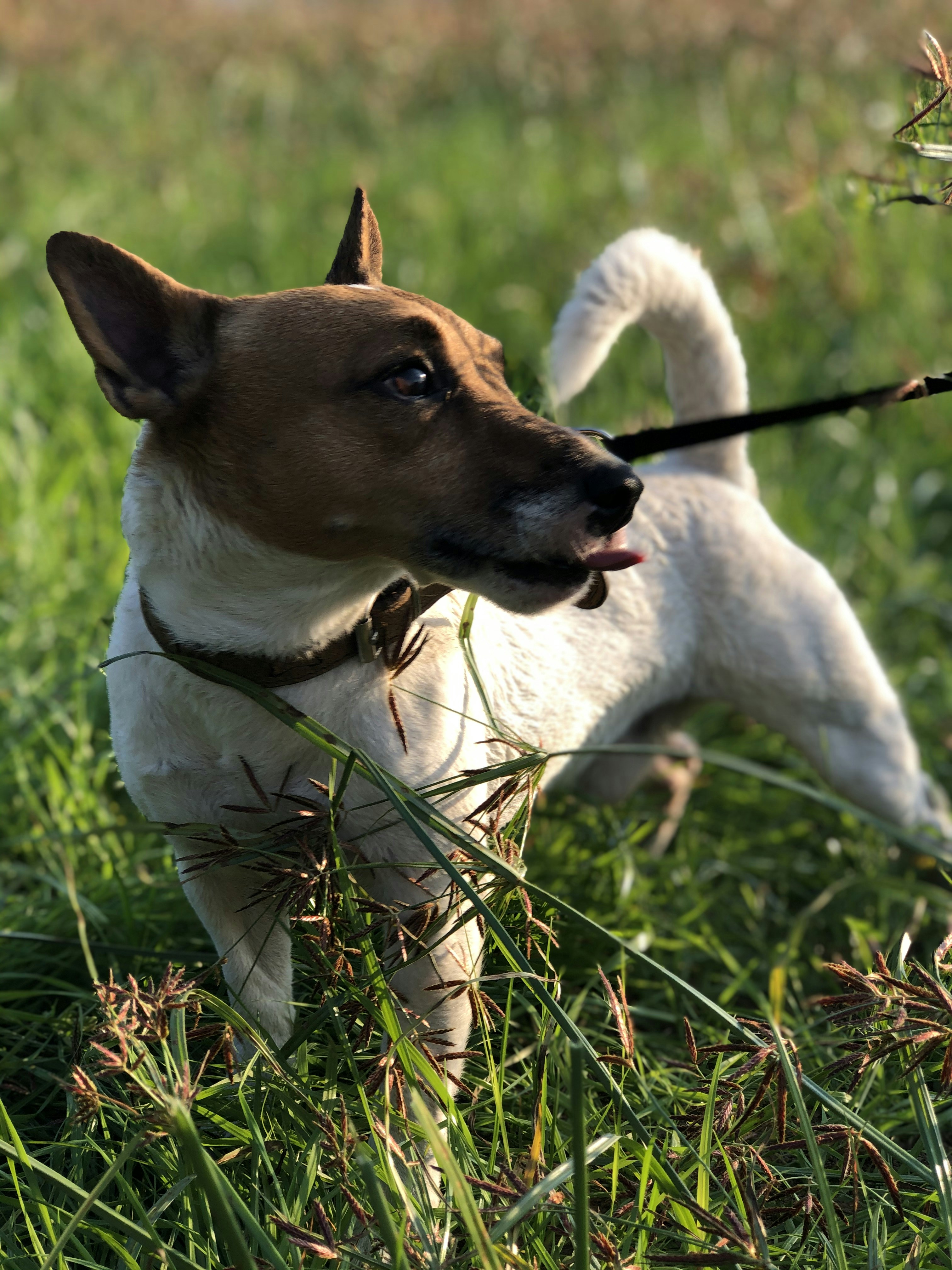 sultan esra şahin (@sultanesra) | Unsplash 사진 커뮤니티
