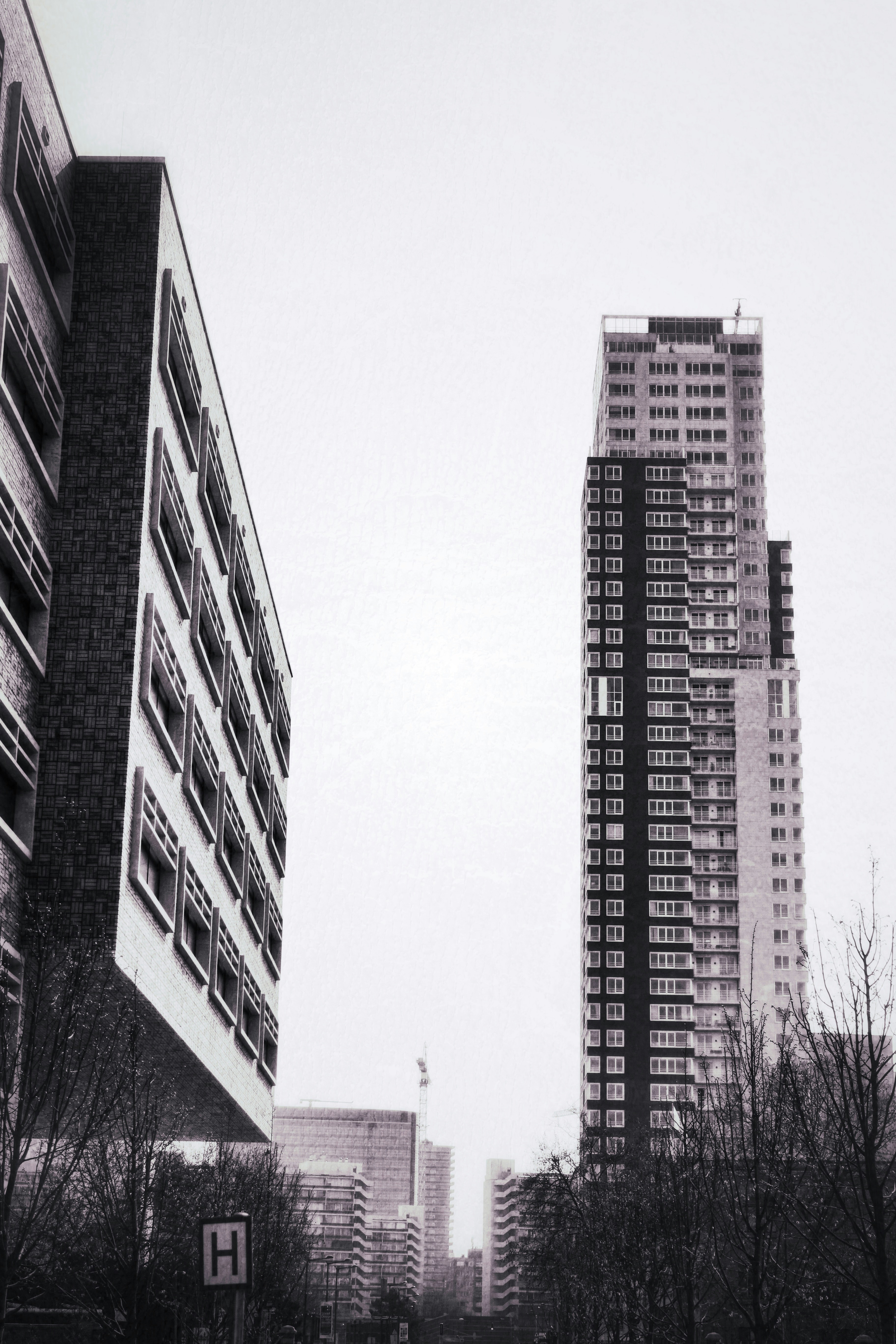 Monochrome Towers: A Narrow City Corridor Framing the Skyward Spine