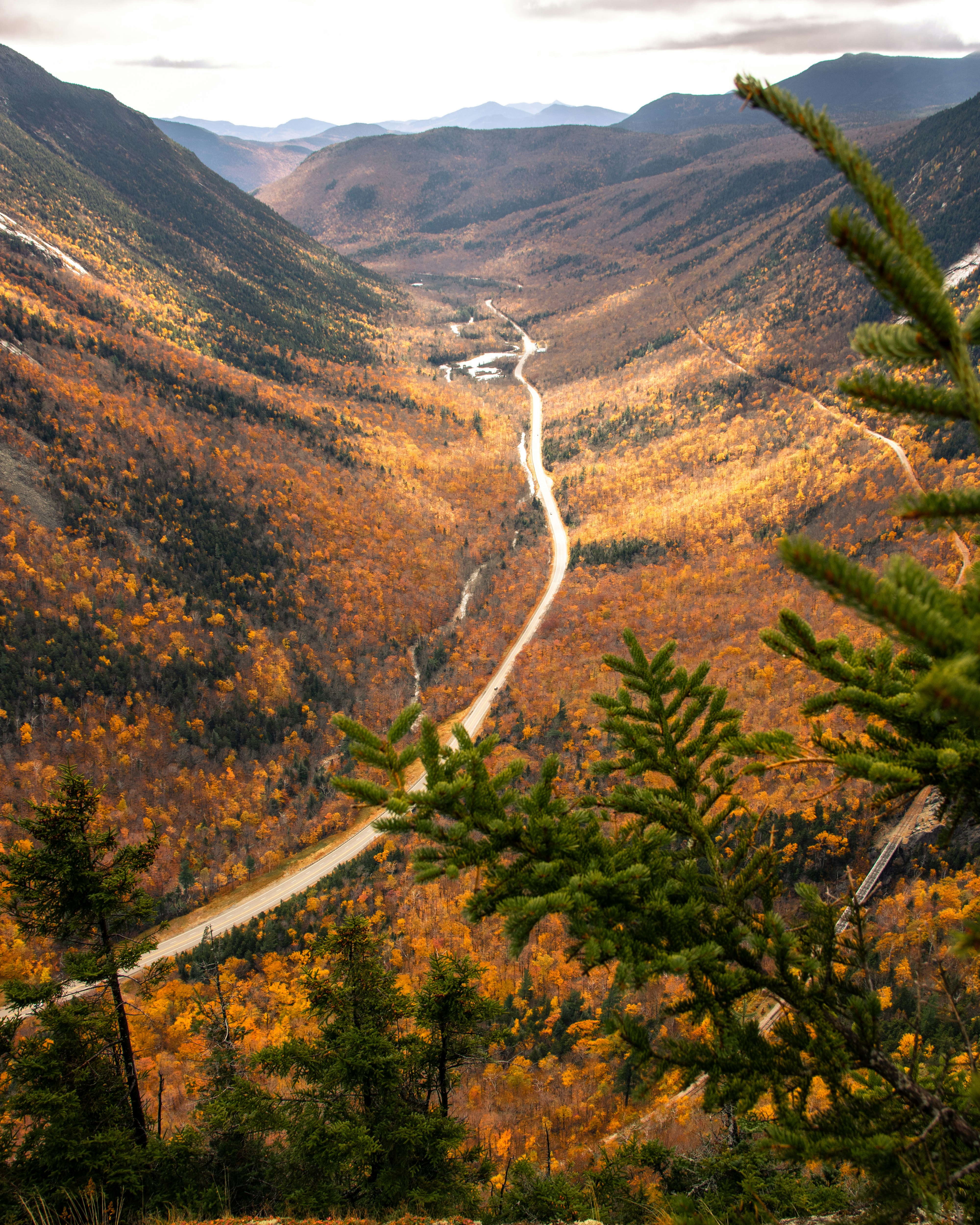 Winding road meanders through vibrant autumn foliage in a mountainous landscape, showcasing the rich colors of fall. A foreground of evergreen branches frames the scene.