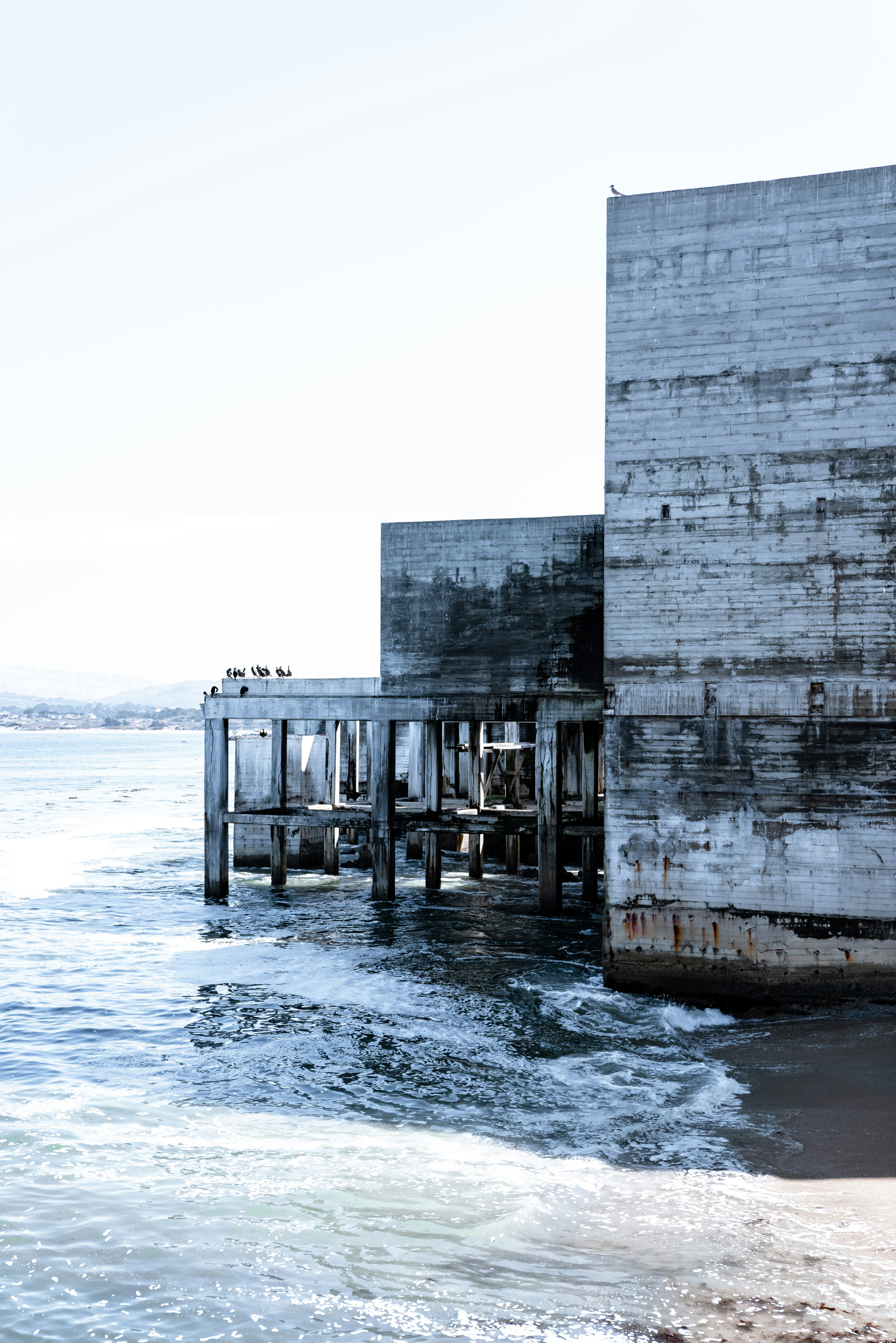 Weathered pier extending into calm waters under a clear sky, with seabirds perched on the structure. 