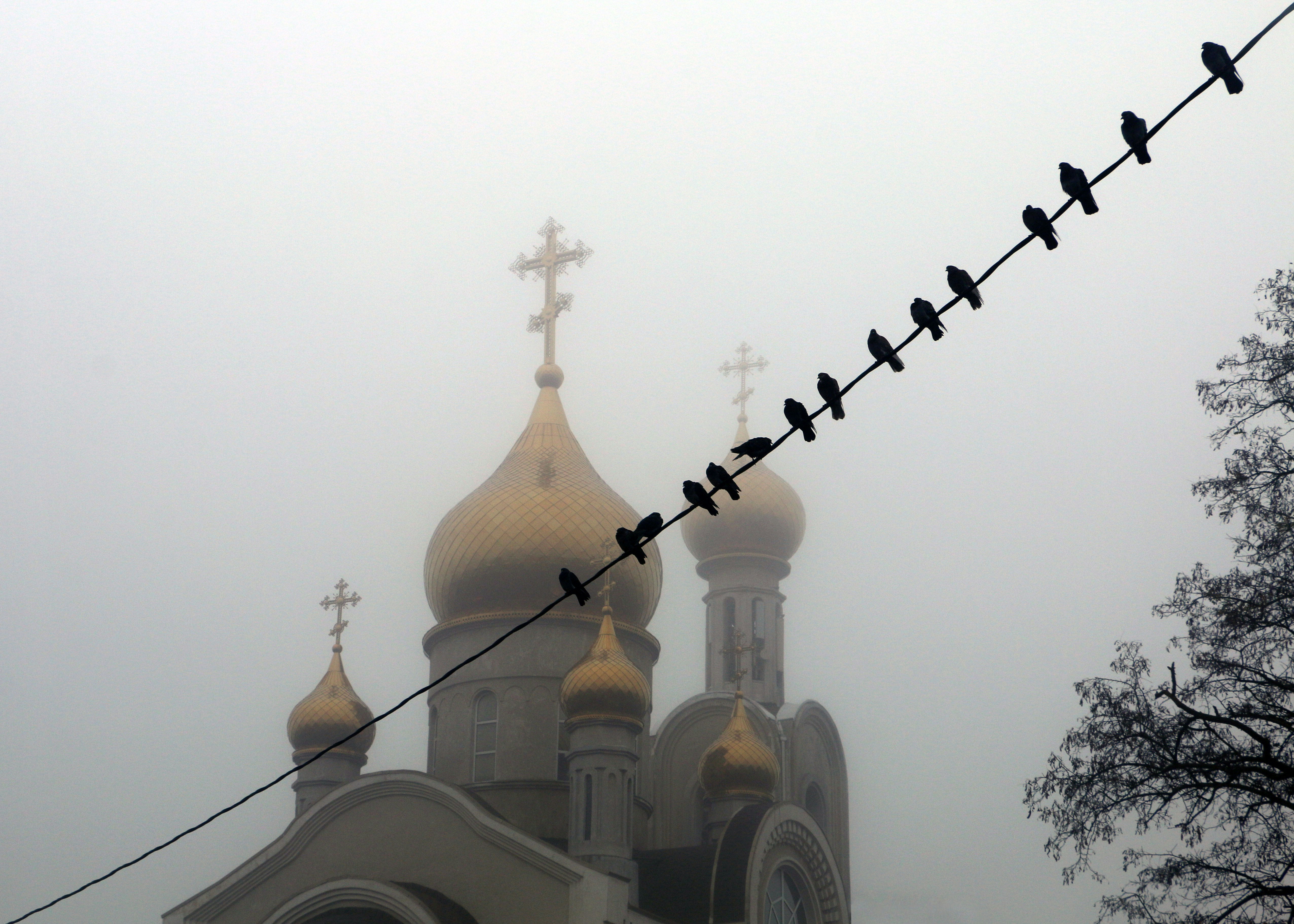 Silhouetted birds perched on a wire against a foggy backdrop featuring a church with golden domes and crosses.