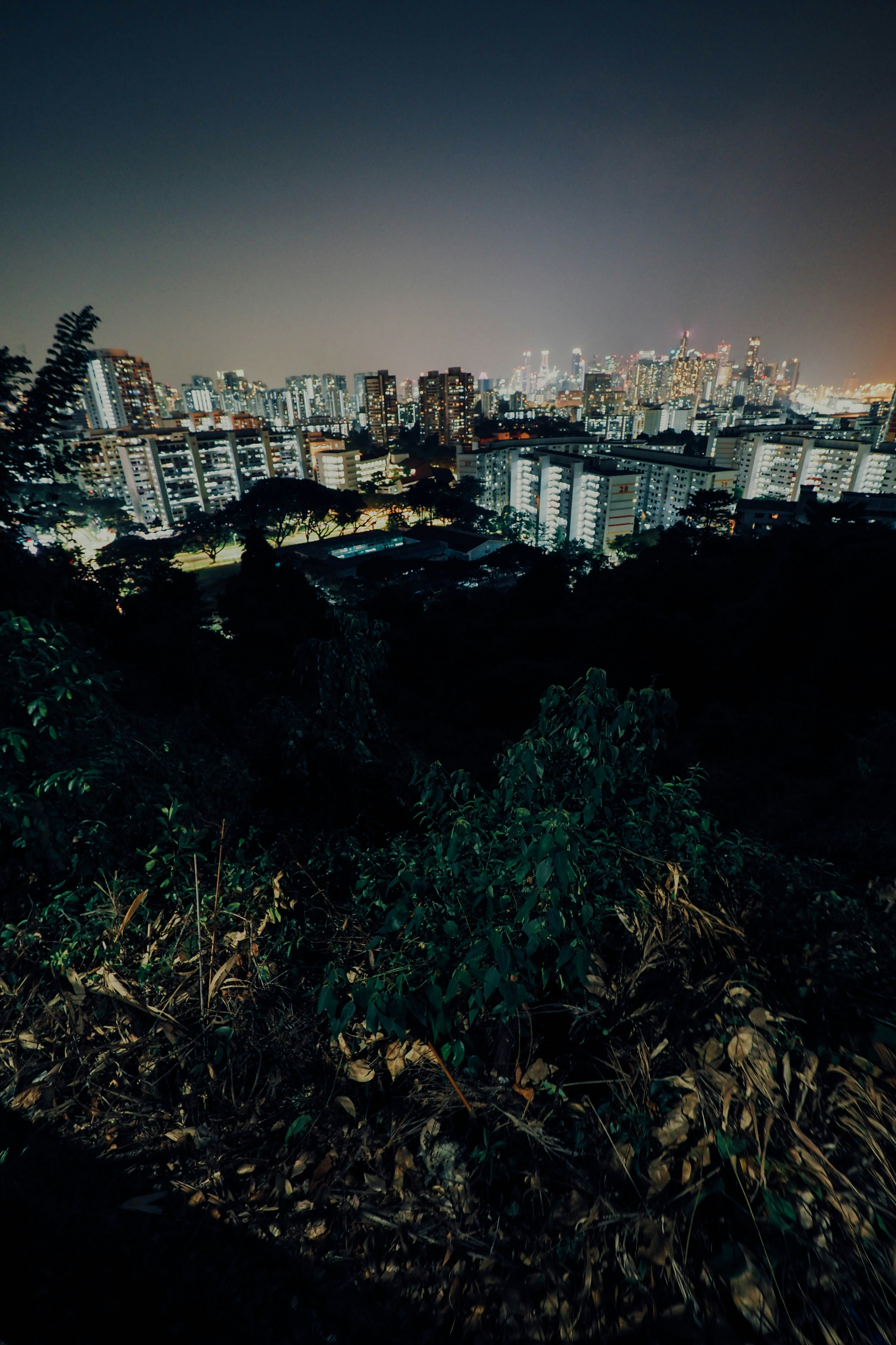 high-rise buildings