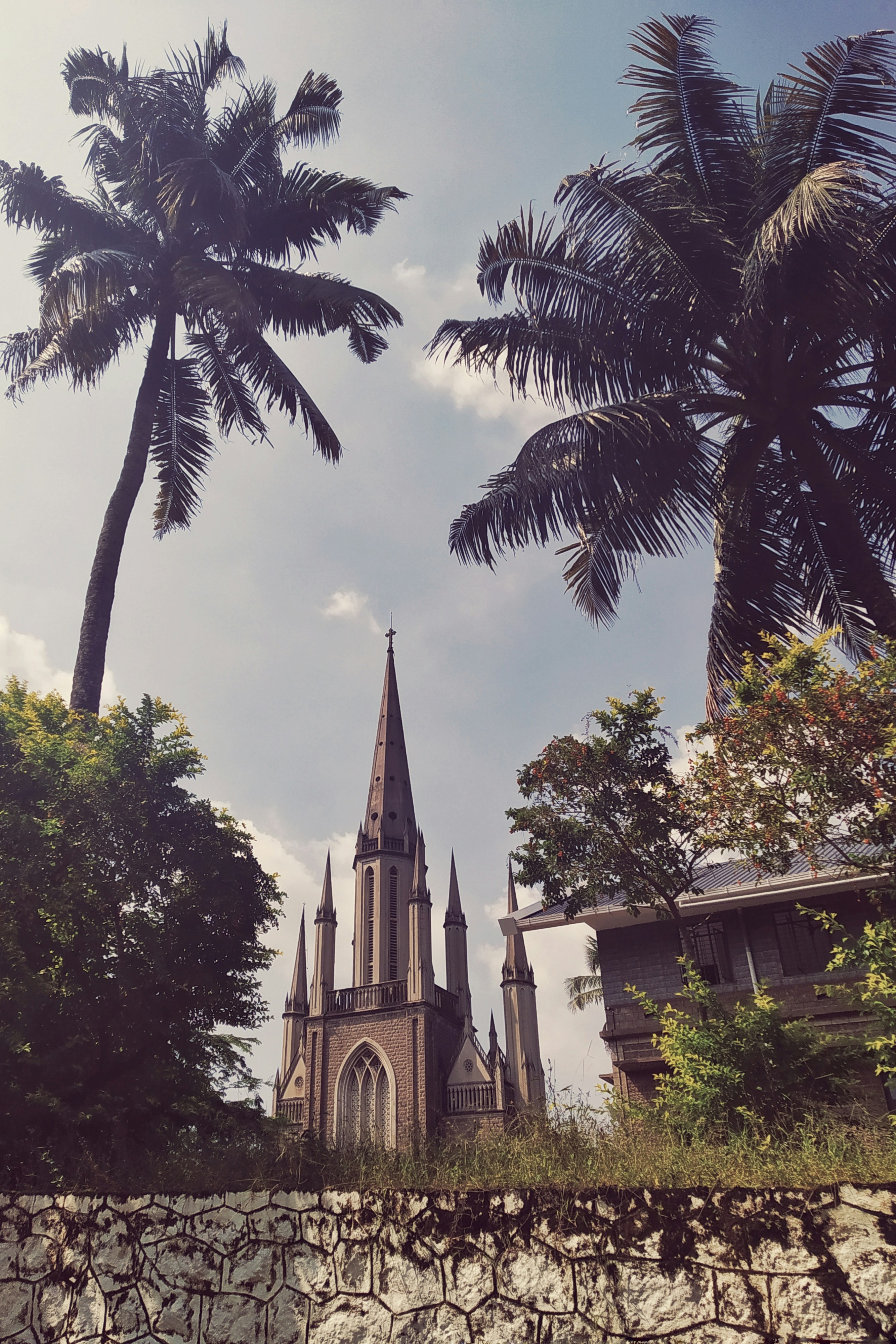 Gothic Spire Framed by Tropical Palms