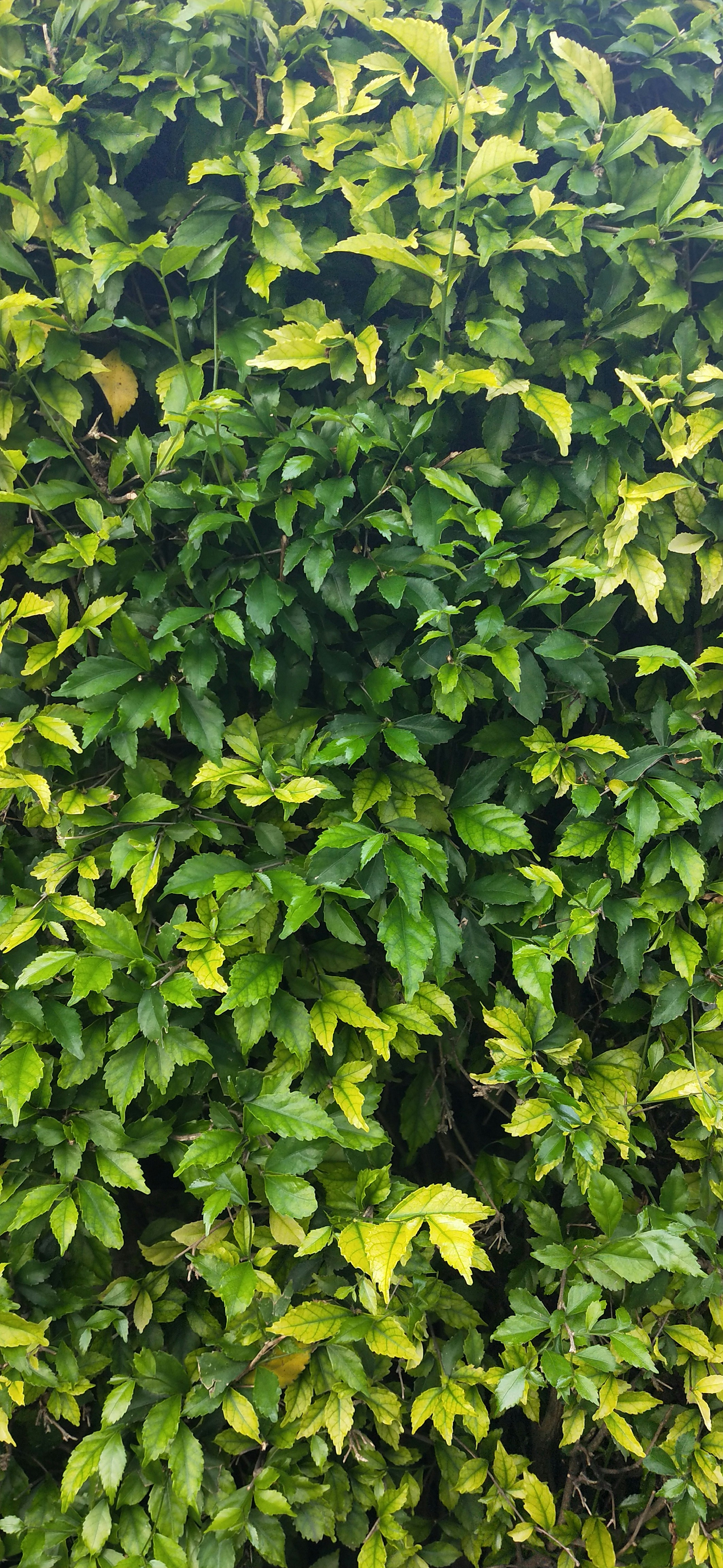 Steve Korwa (@stevekorwa) | Komunitas Foto Unsplash