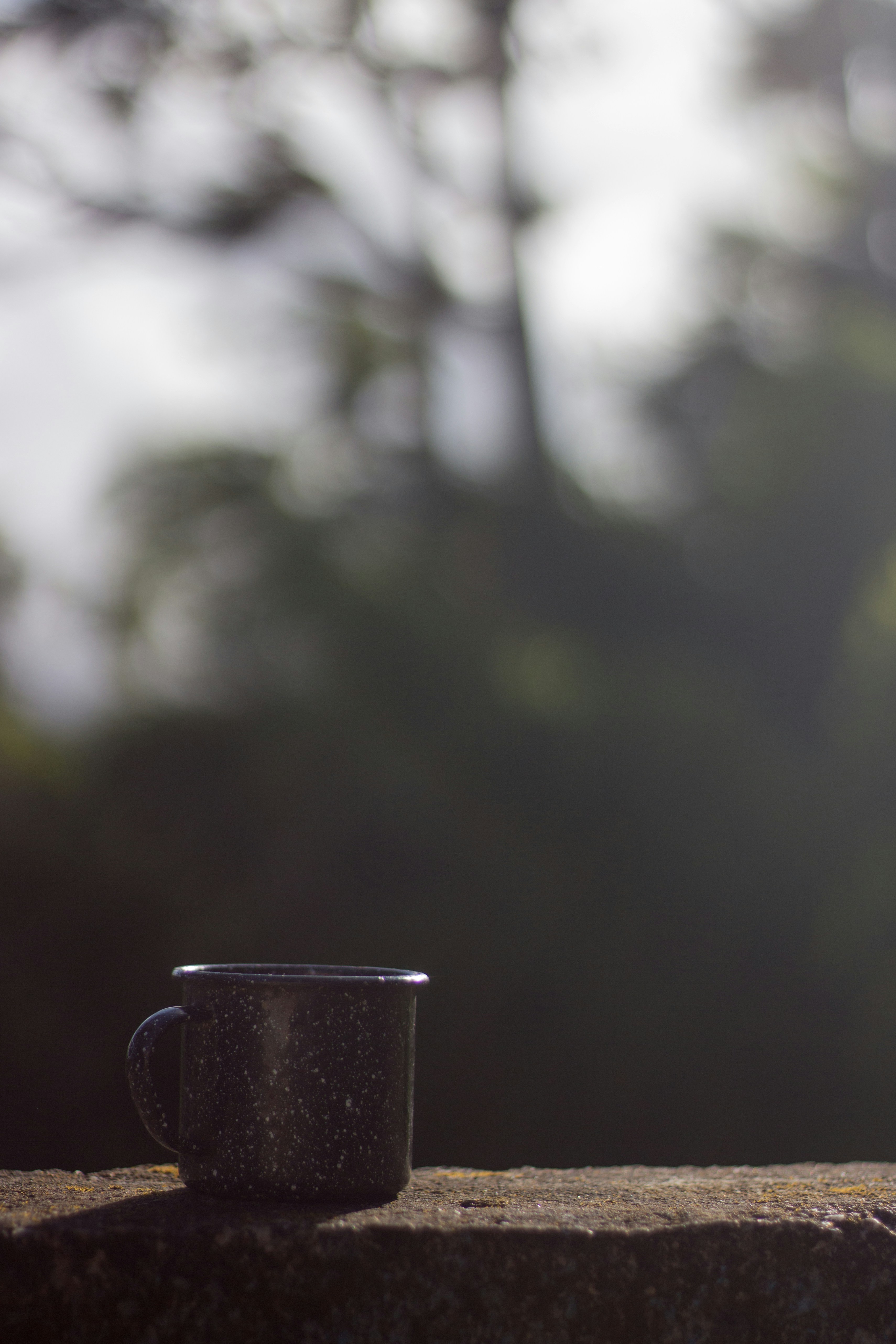 A rustic mug resting on a stone ledge, surrounded by a soft, blurred backdrop of trees. The scene evokes a sense of calm and reflection.