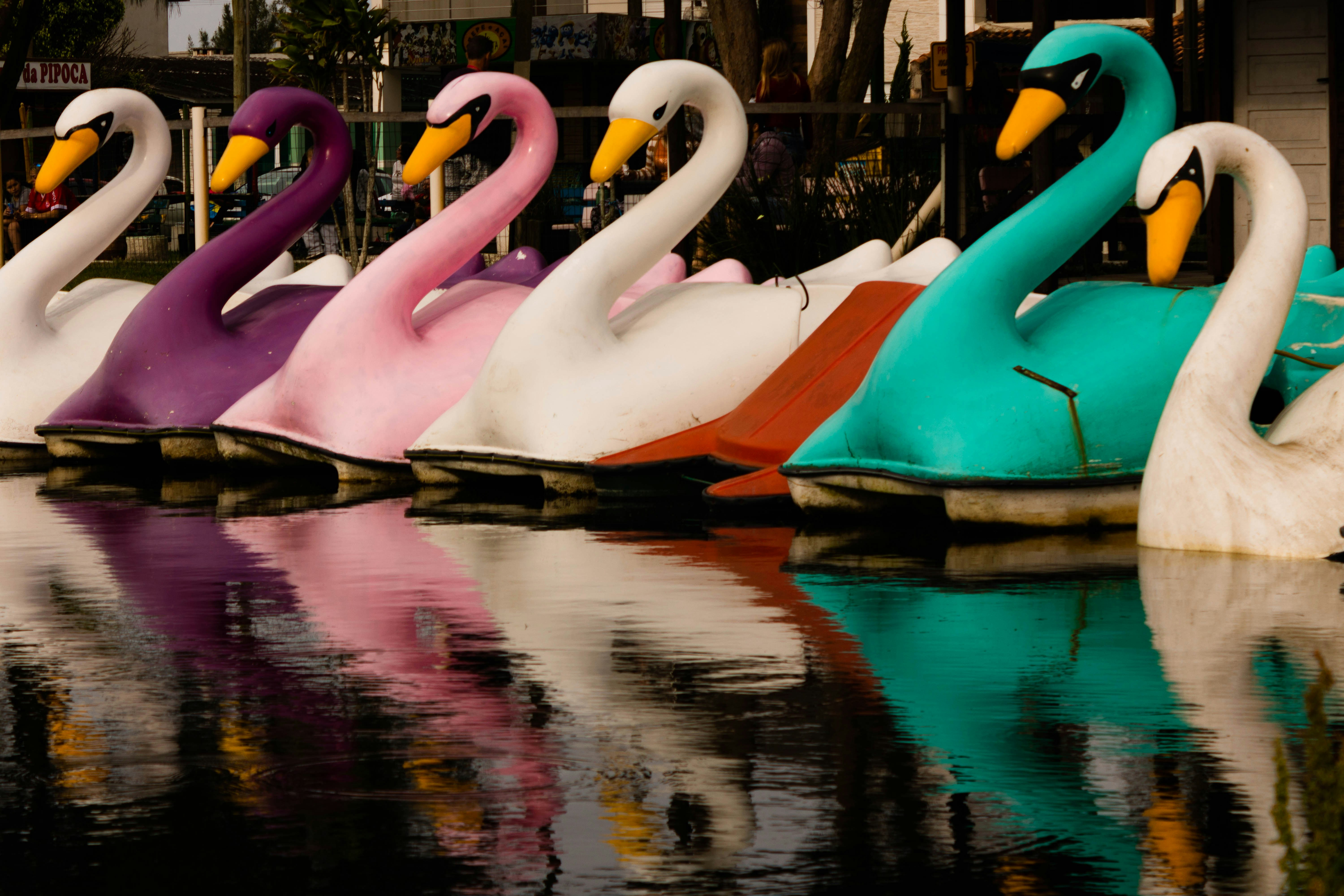 Flotadores de cisne de colores variados durante el día foto – Imagen de ...
