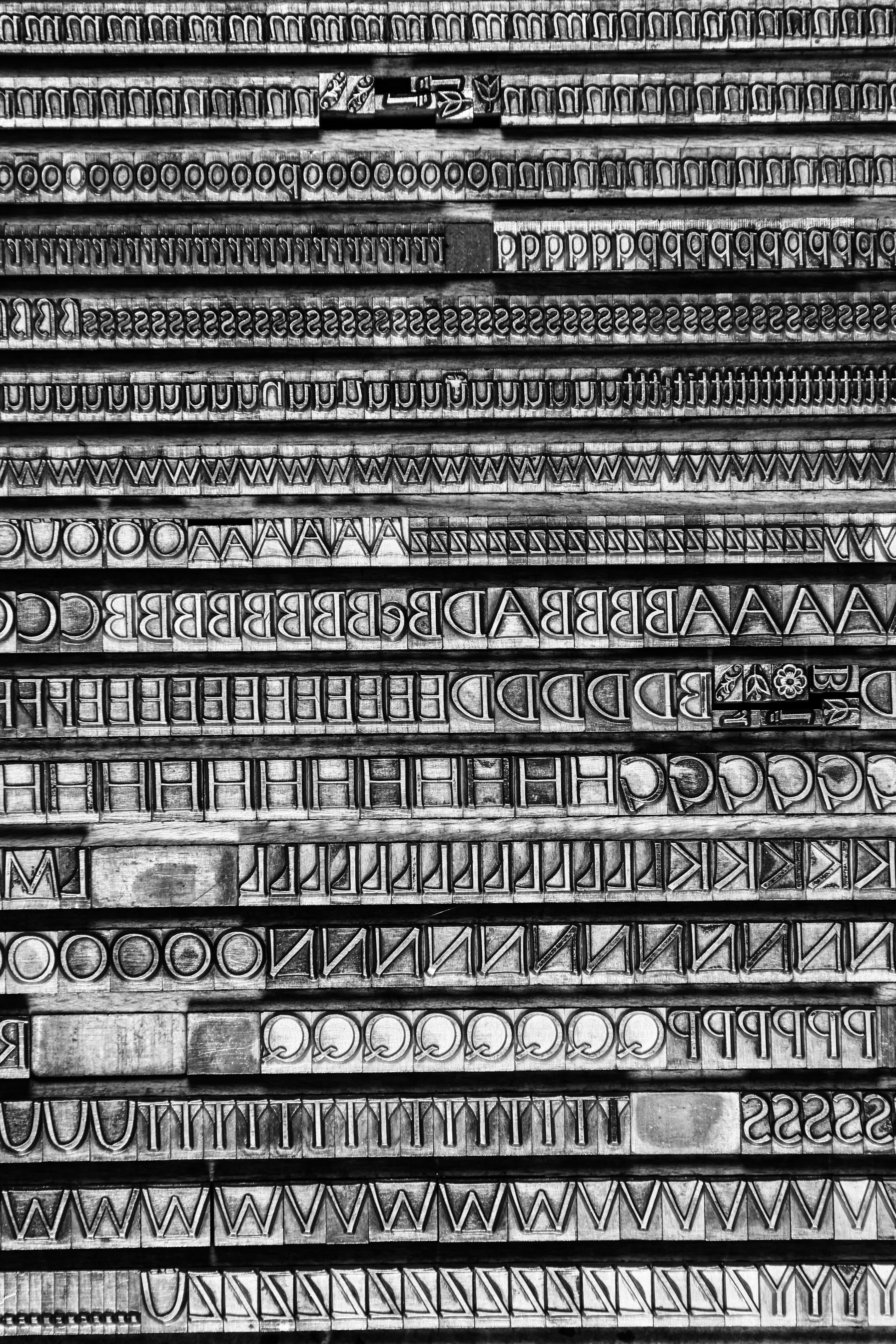 A detailed arrangement of various letterpress typefaces showcasing intricate designs and textures.