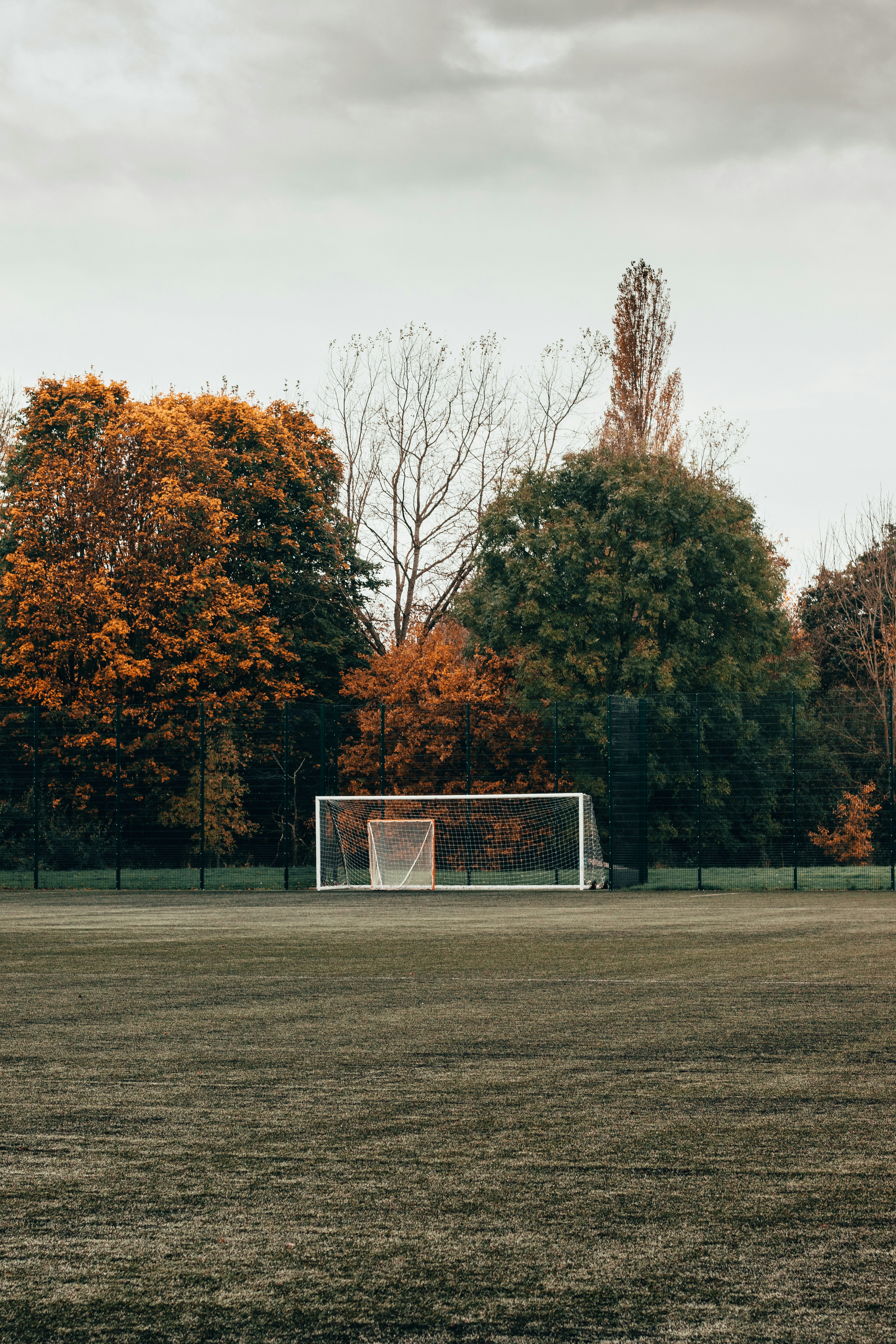 Football Ground Pictures | Download Free Images on Unsplash