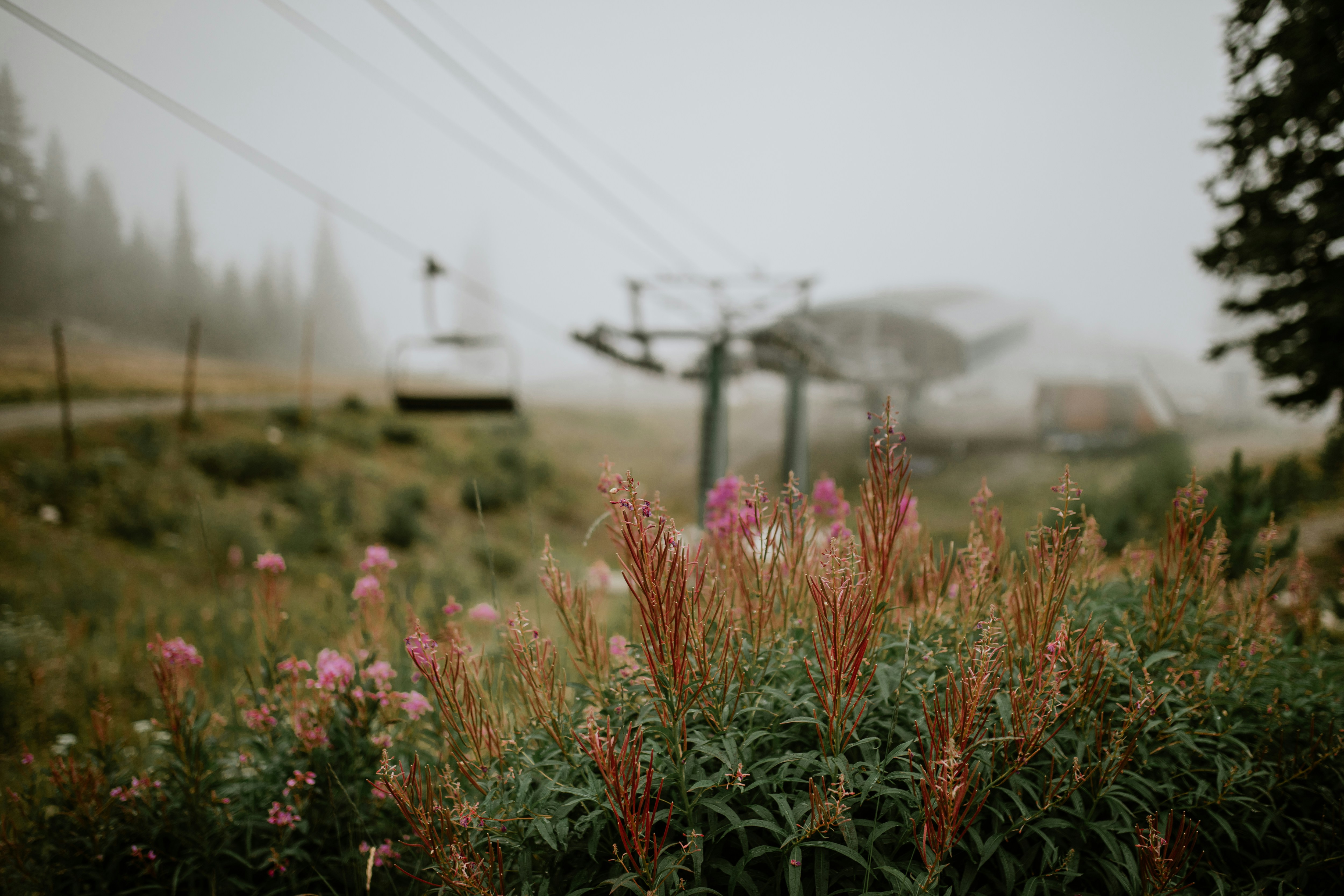 living-in-granby-co | Brenda Freeman