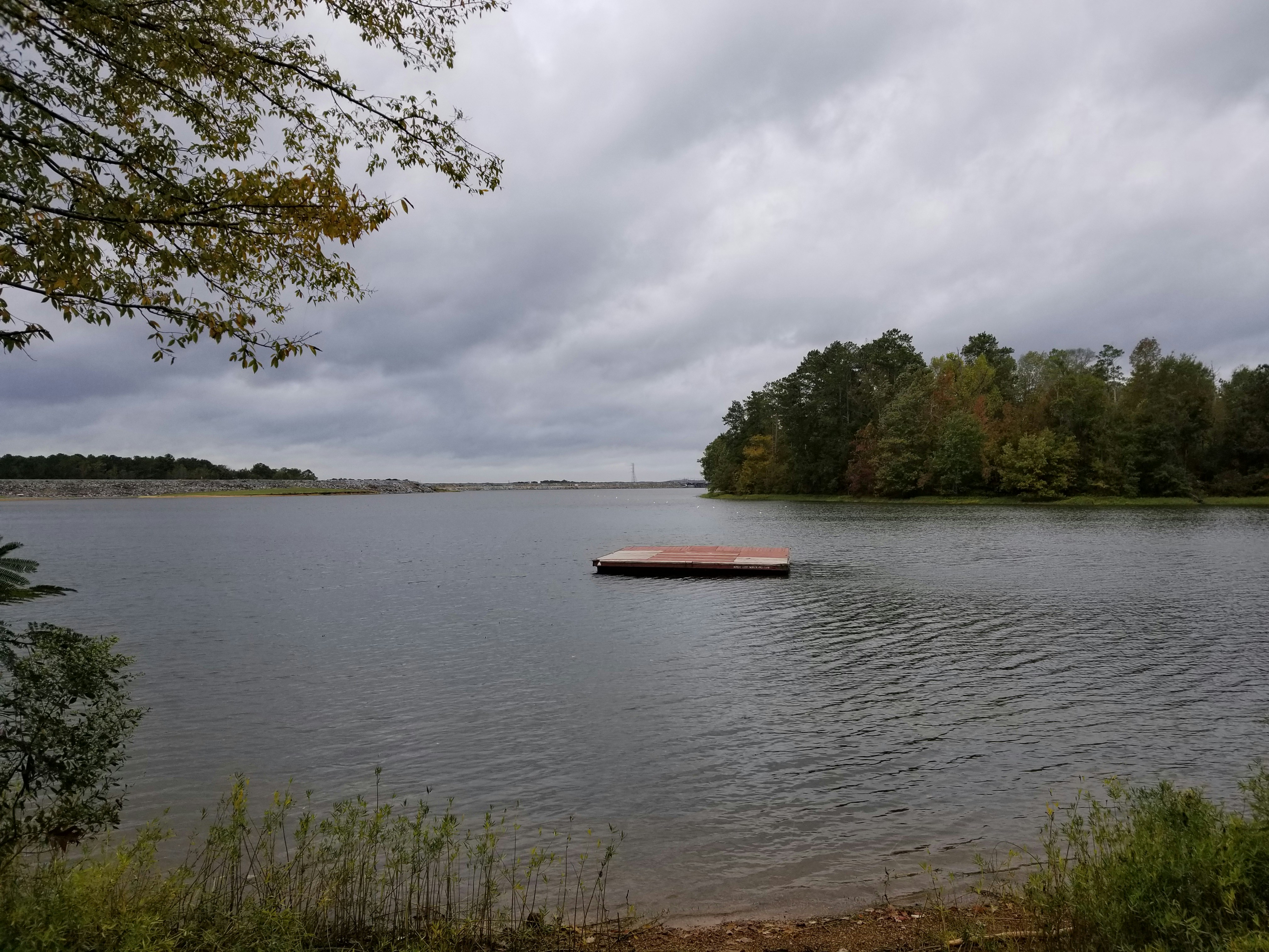 Overcast lake scene with a lone floating dock centered on calm water, framed by autumn trees.