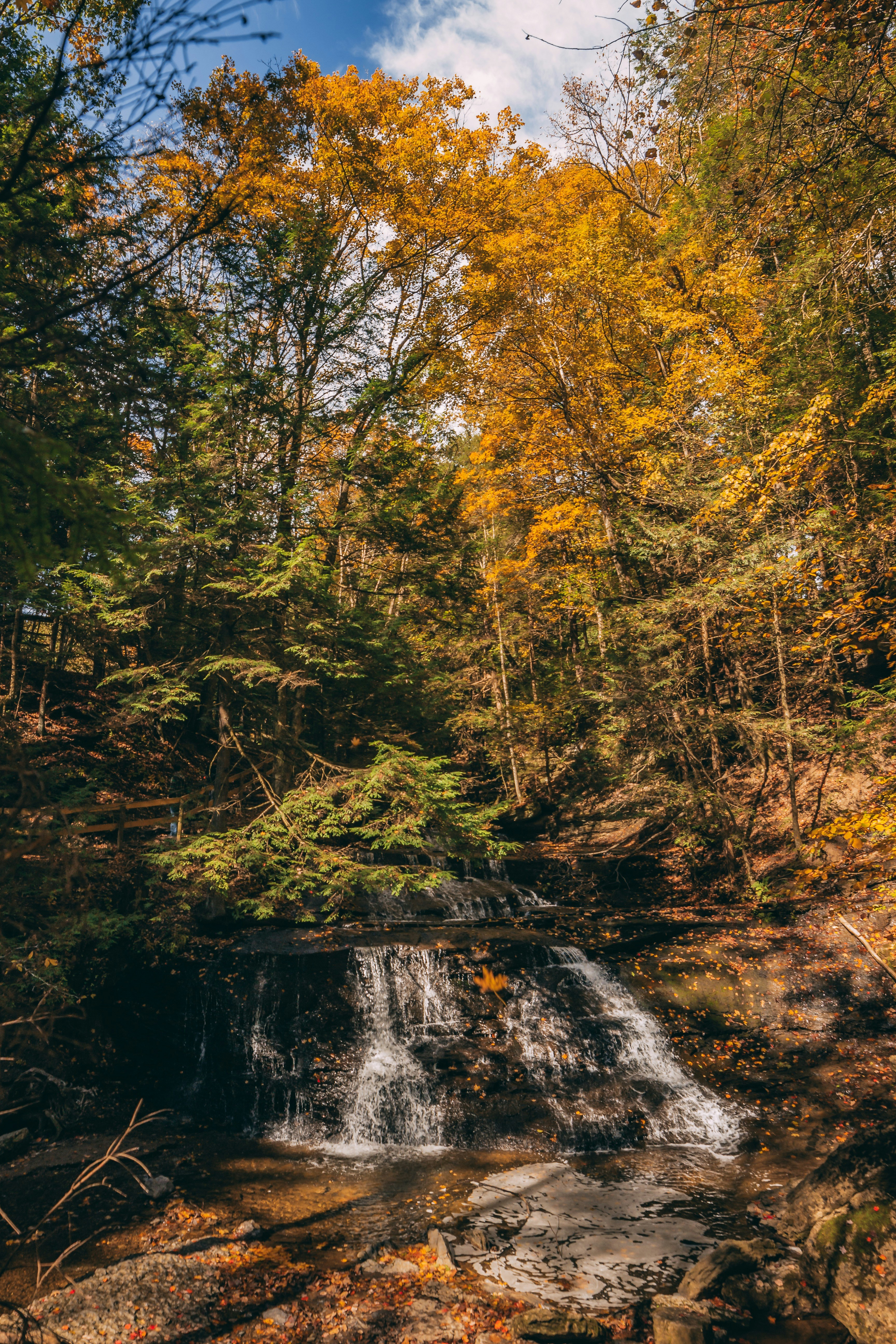 Trees near waterfalls photo – Free Brown Image on Unsplash