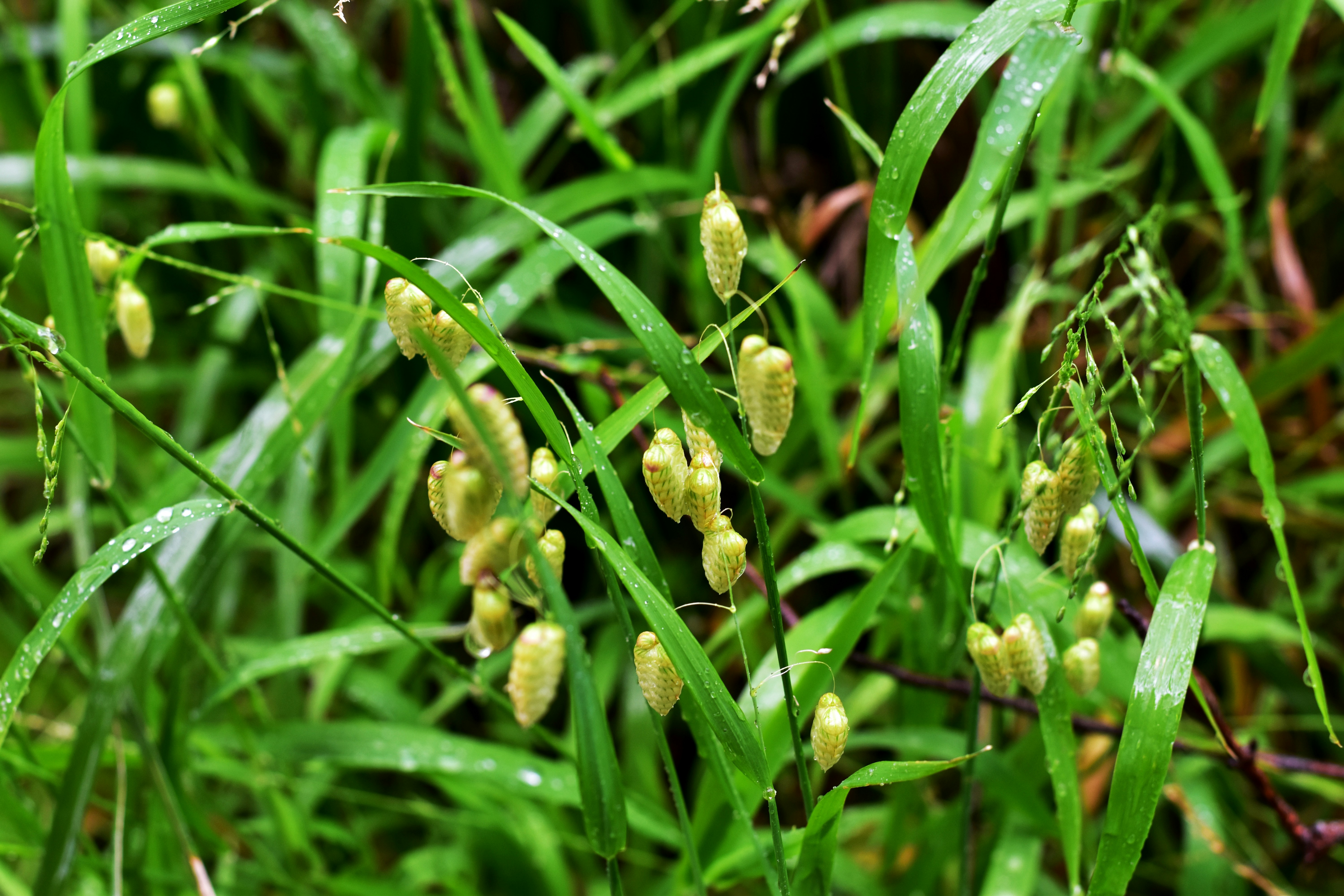 meaghan pryor (@theartinspires) | Comunidade de fotos da Unsplash